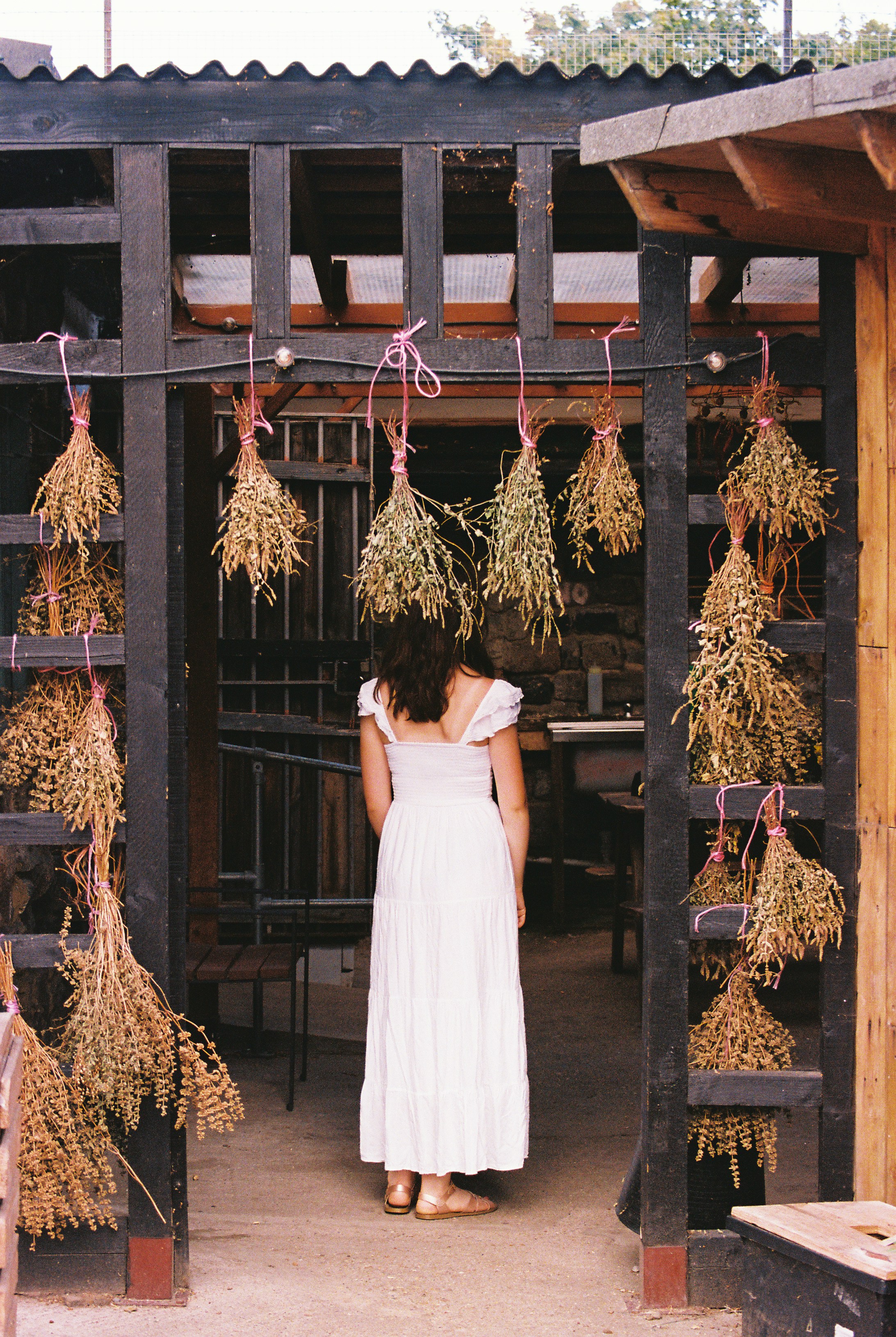 White-dressed figure at the threshold of a rustic doorway framed by dried herbs