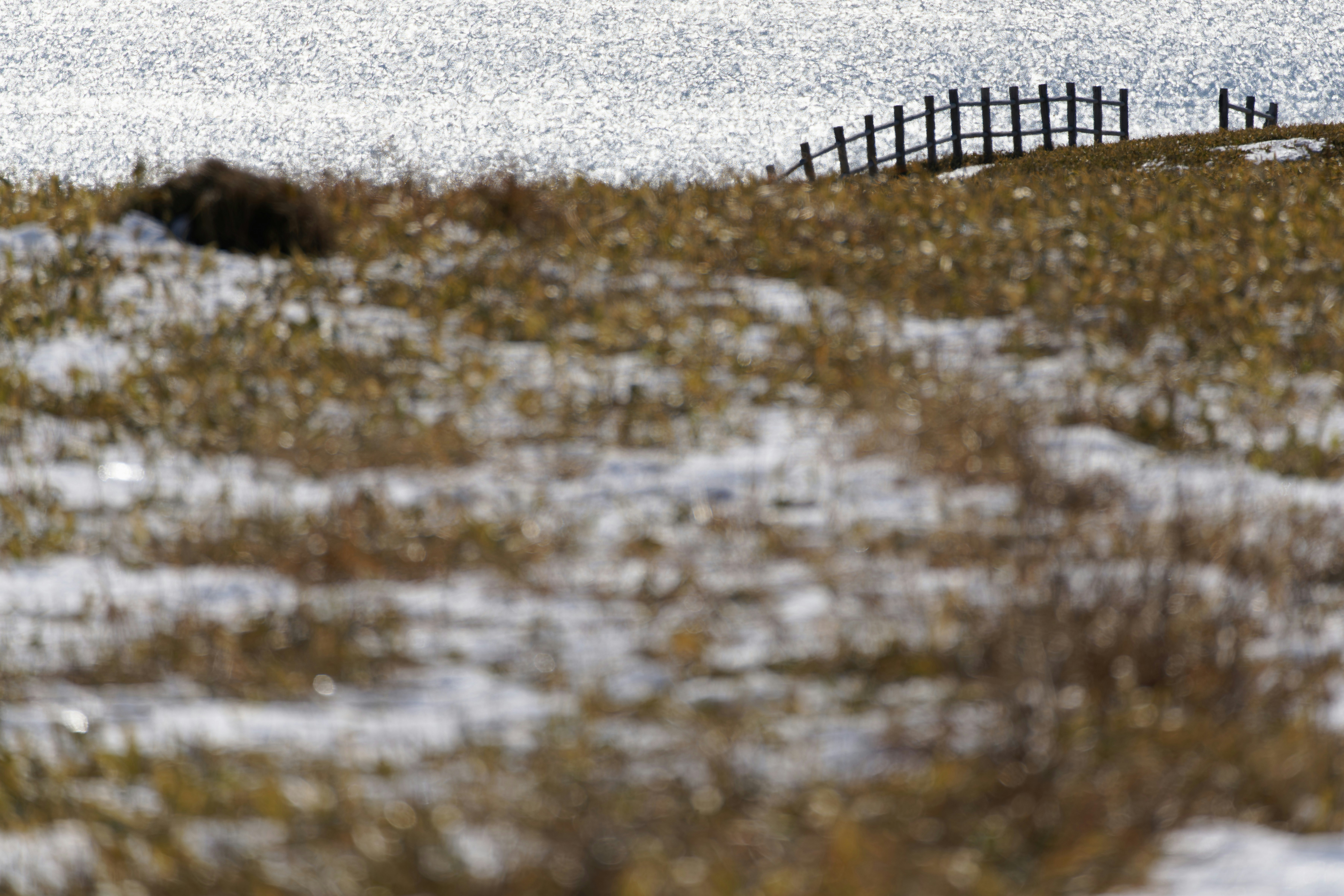 Snow-dusted shoreline with weathered fence line