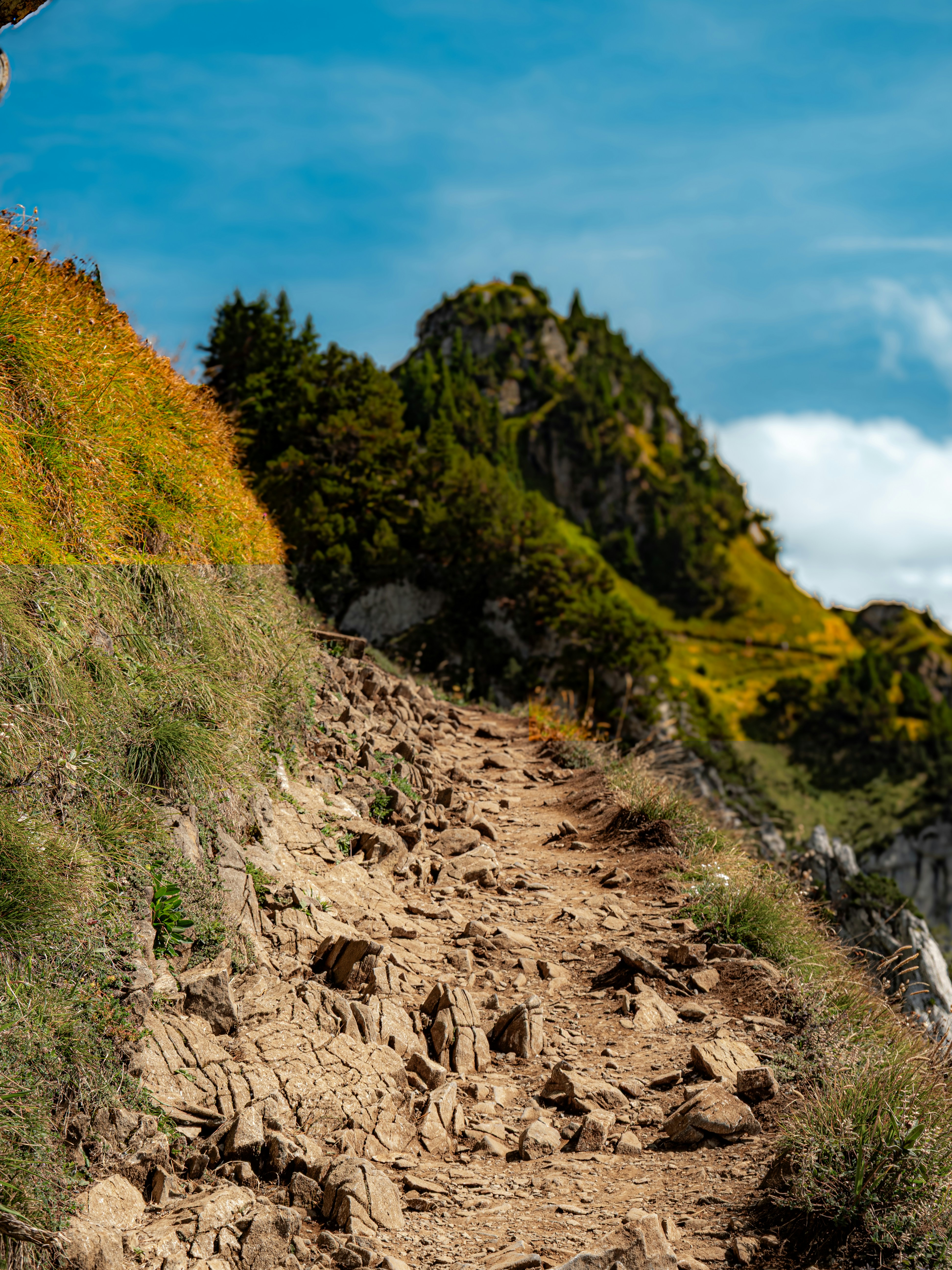 Trail to the Cliffside Summit: A Rugged Path through Golden Grasses