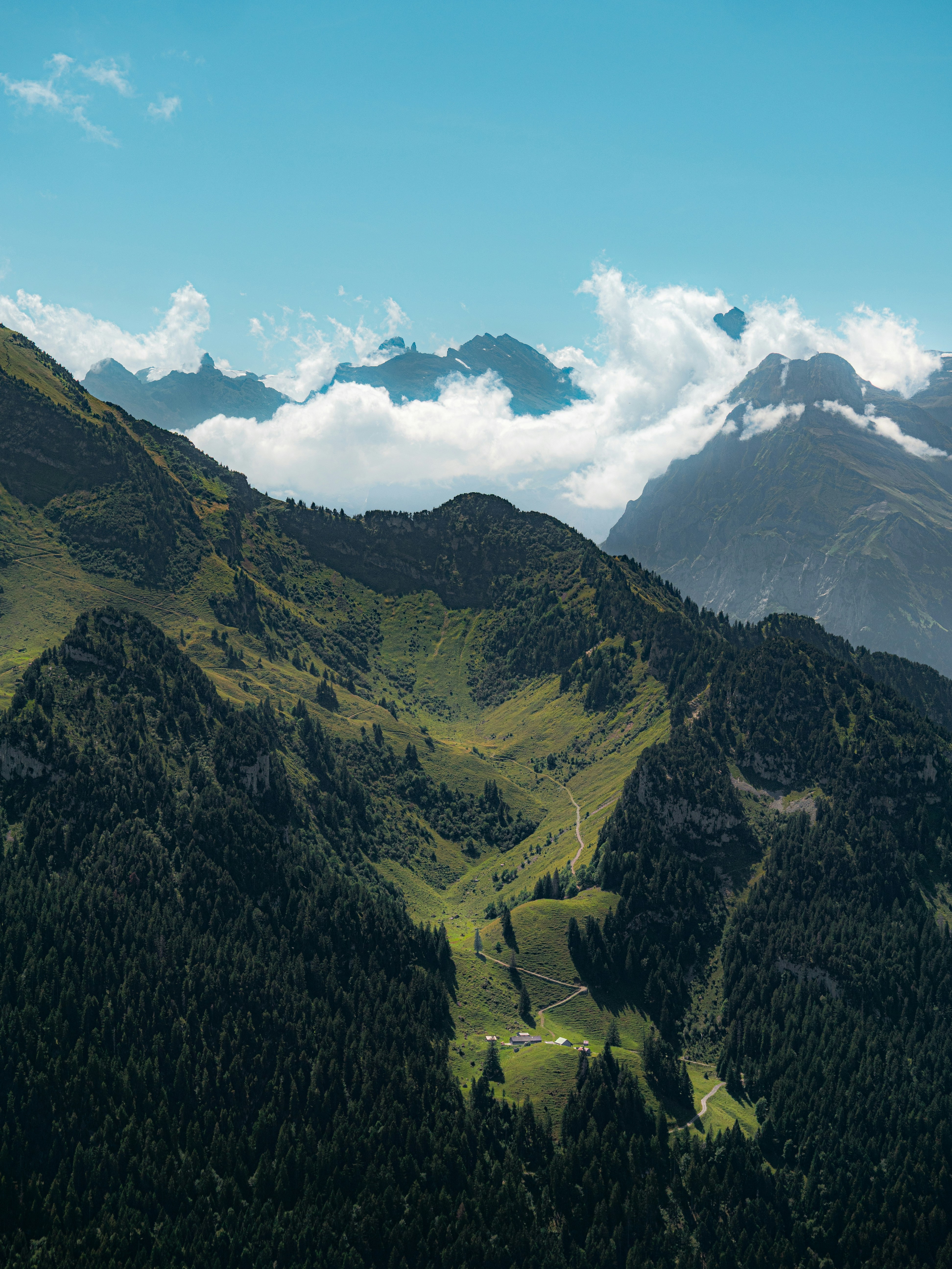 Mountain Valley Currents: A winding path through evergreen ridges under a blue sky