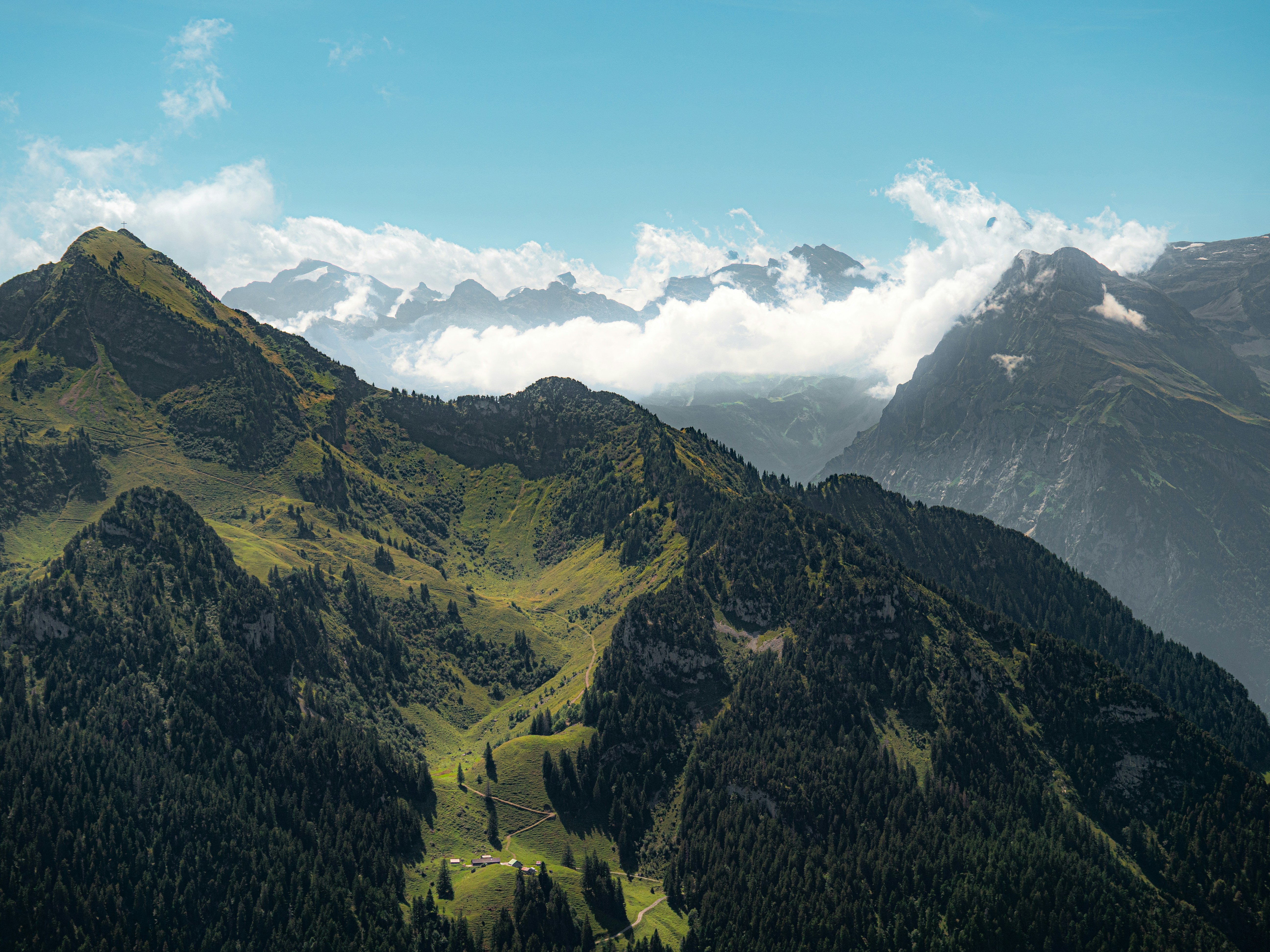 Cloud-soft Valleys: A Mountain Pass Winding Through Pine Peaks