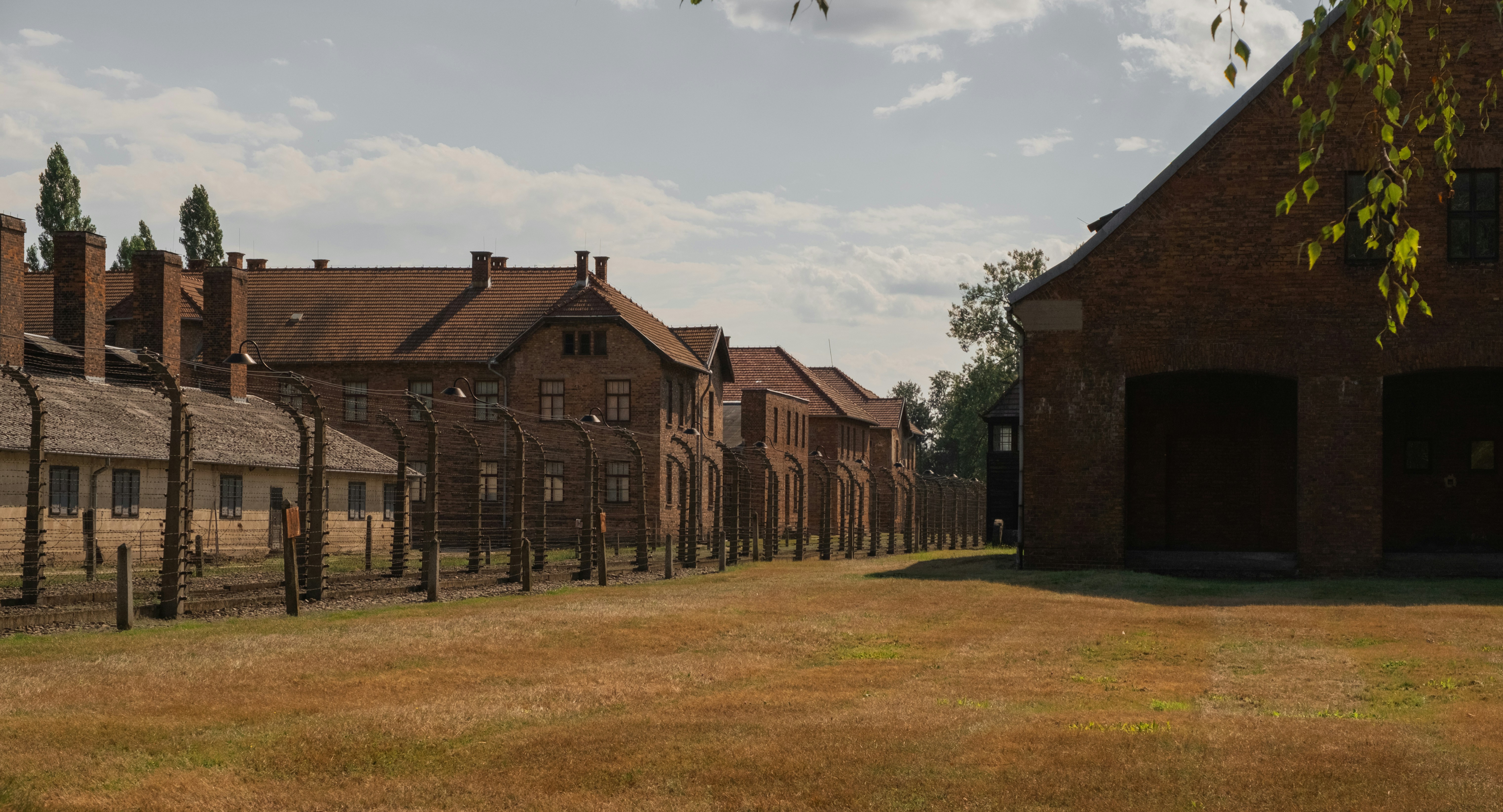 Echoes of the Barbed Row: Abandoned Camp Lines
