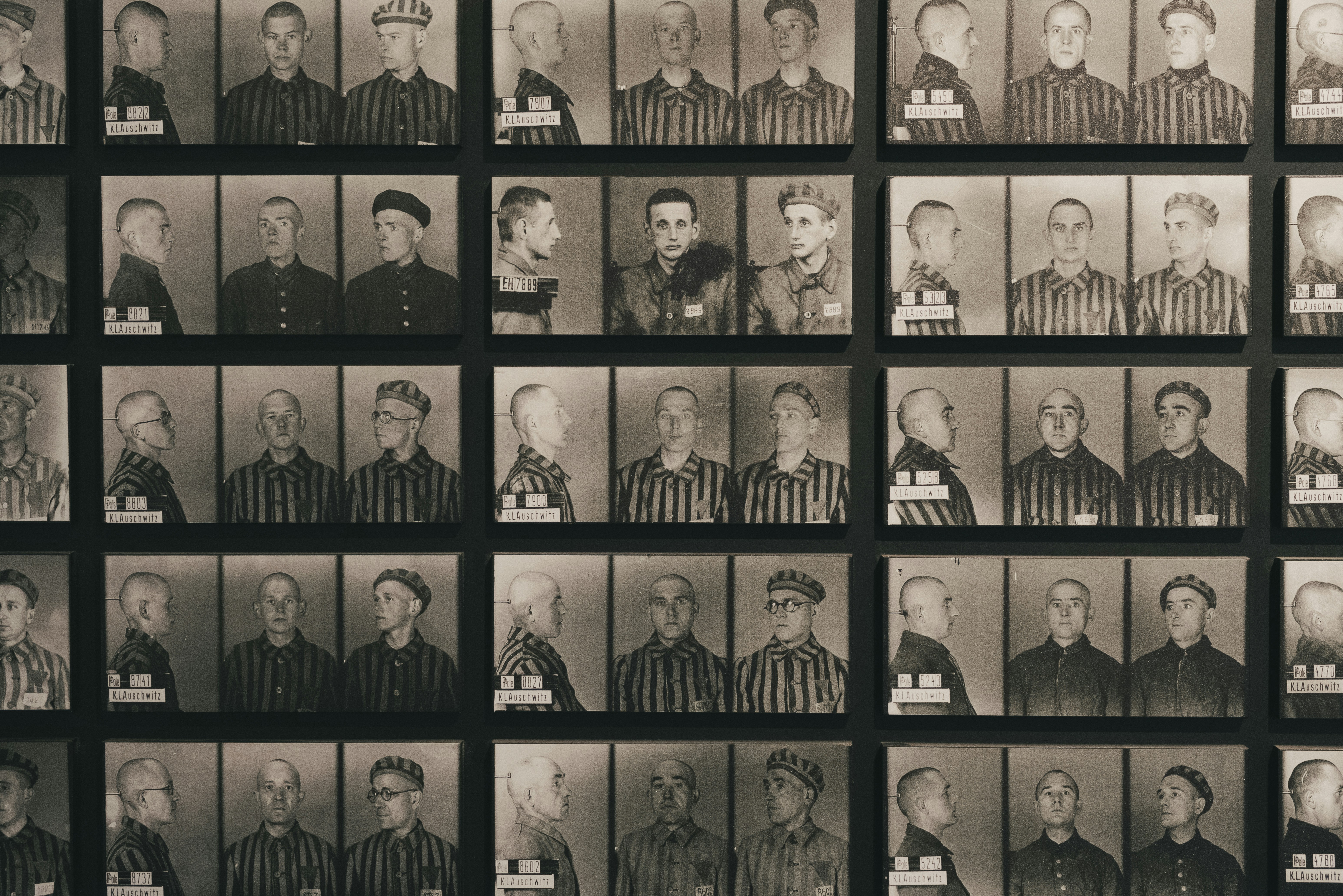 Rows of Quiet Faces: A Grid of Mugshots Behind Glass