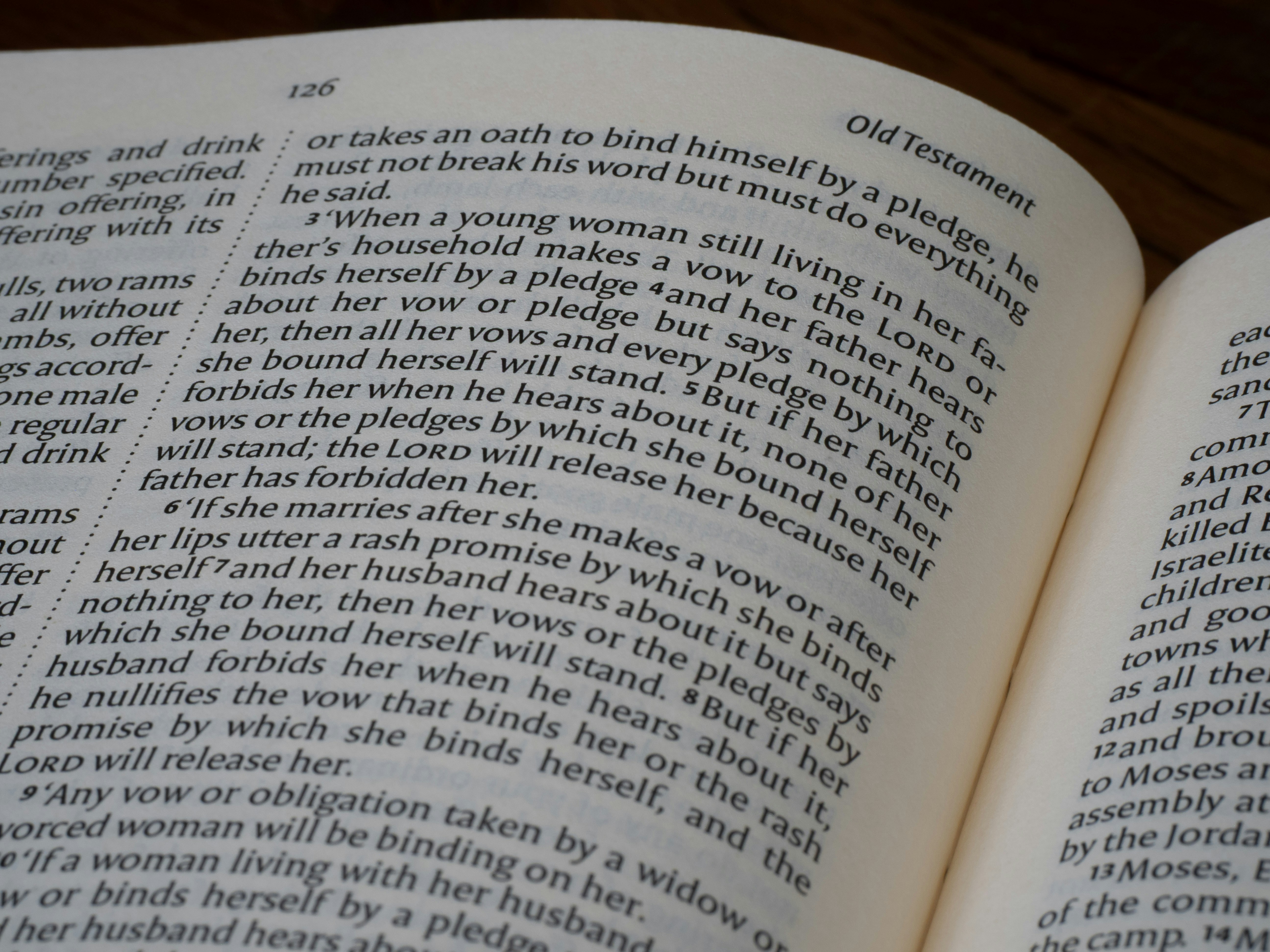 Pastoral Pages: A Quiet Moment Between Two Hands and a Book