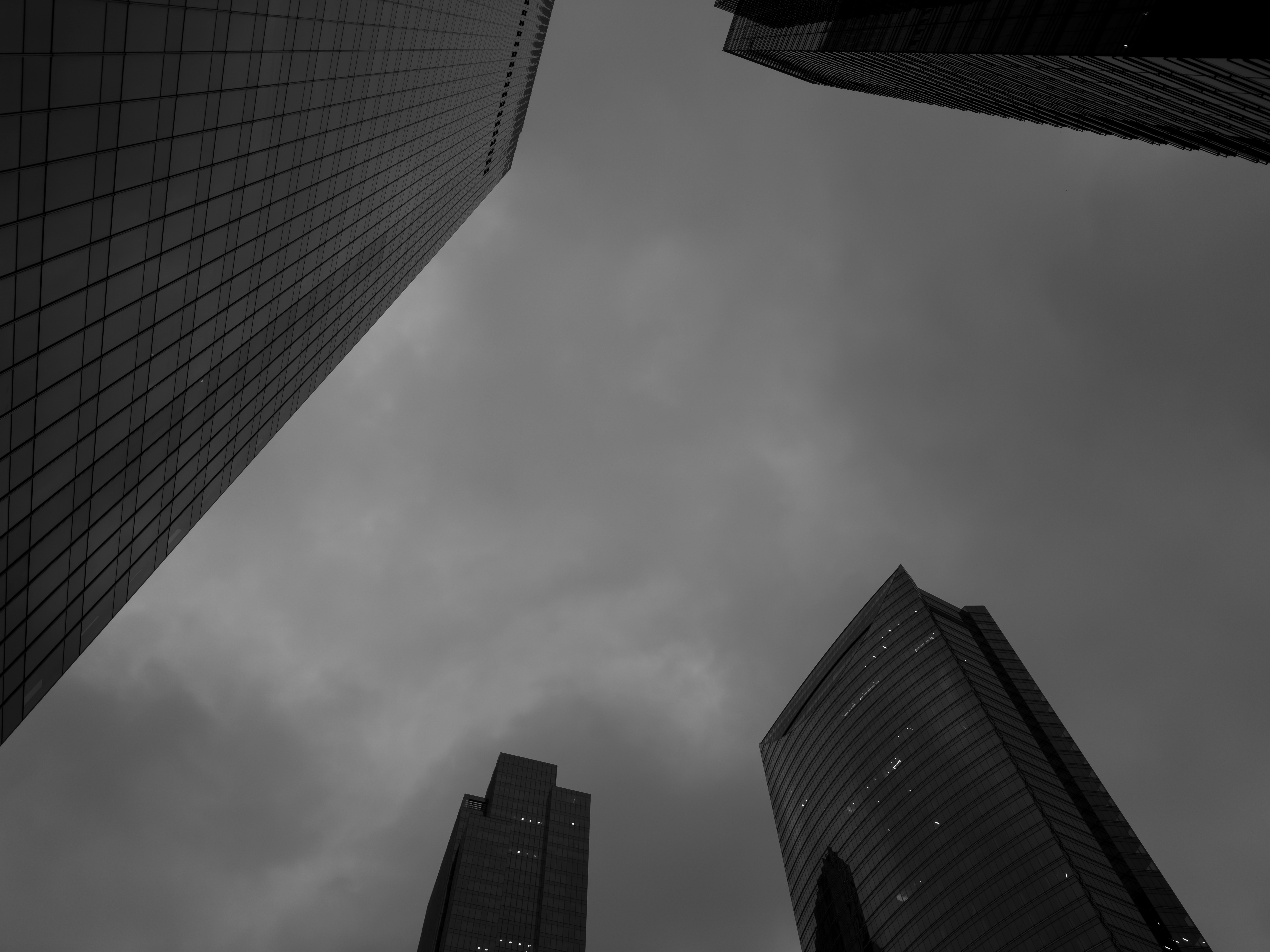 Vertical Giants: Toward the Sky in Monochrome
