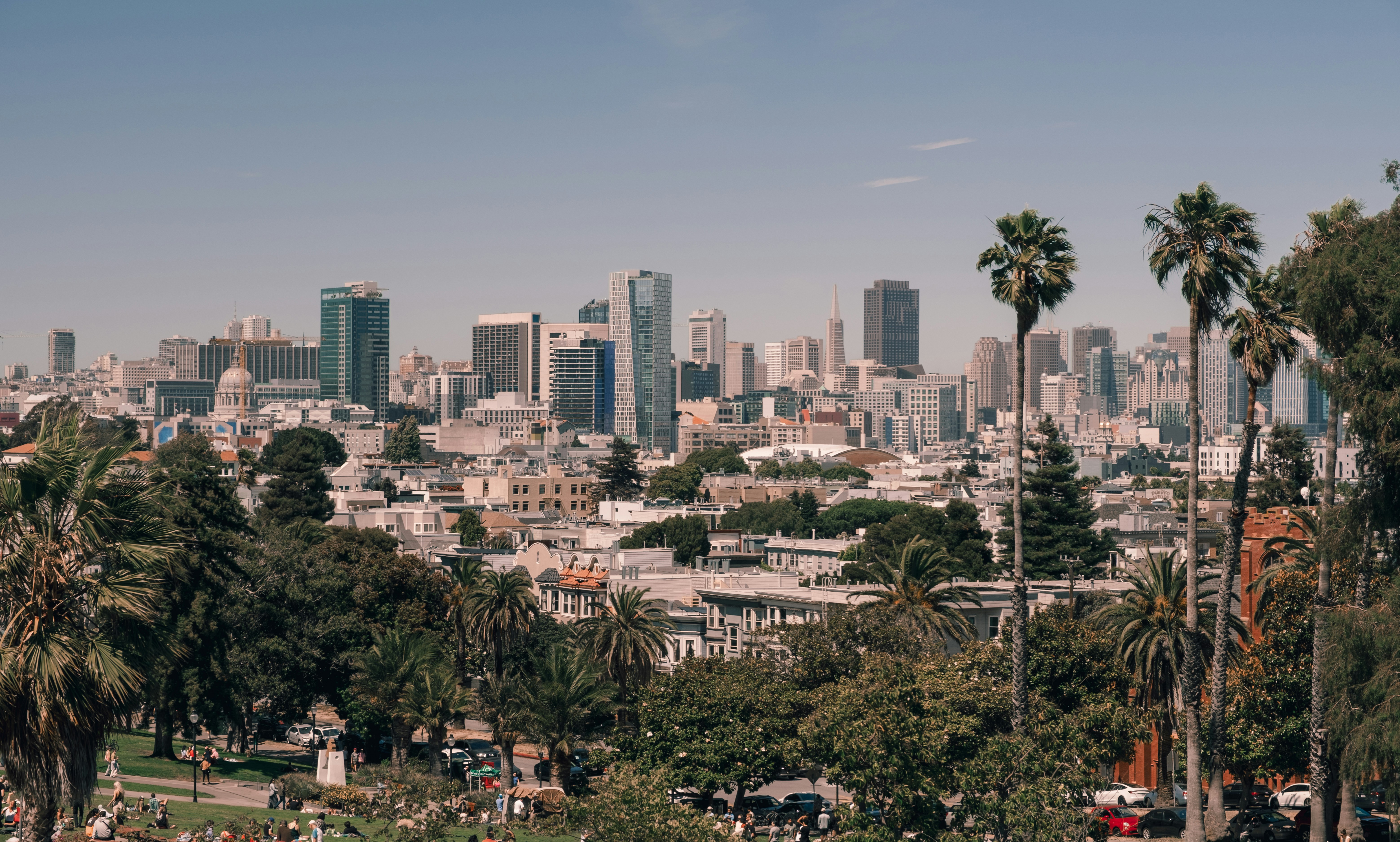 San Francisco Skyline Emerges from a Green Bowl of palms