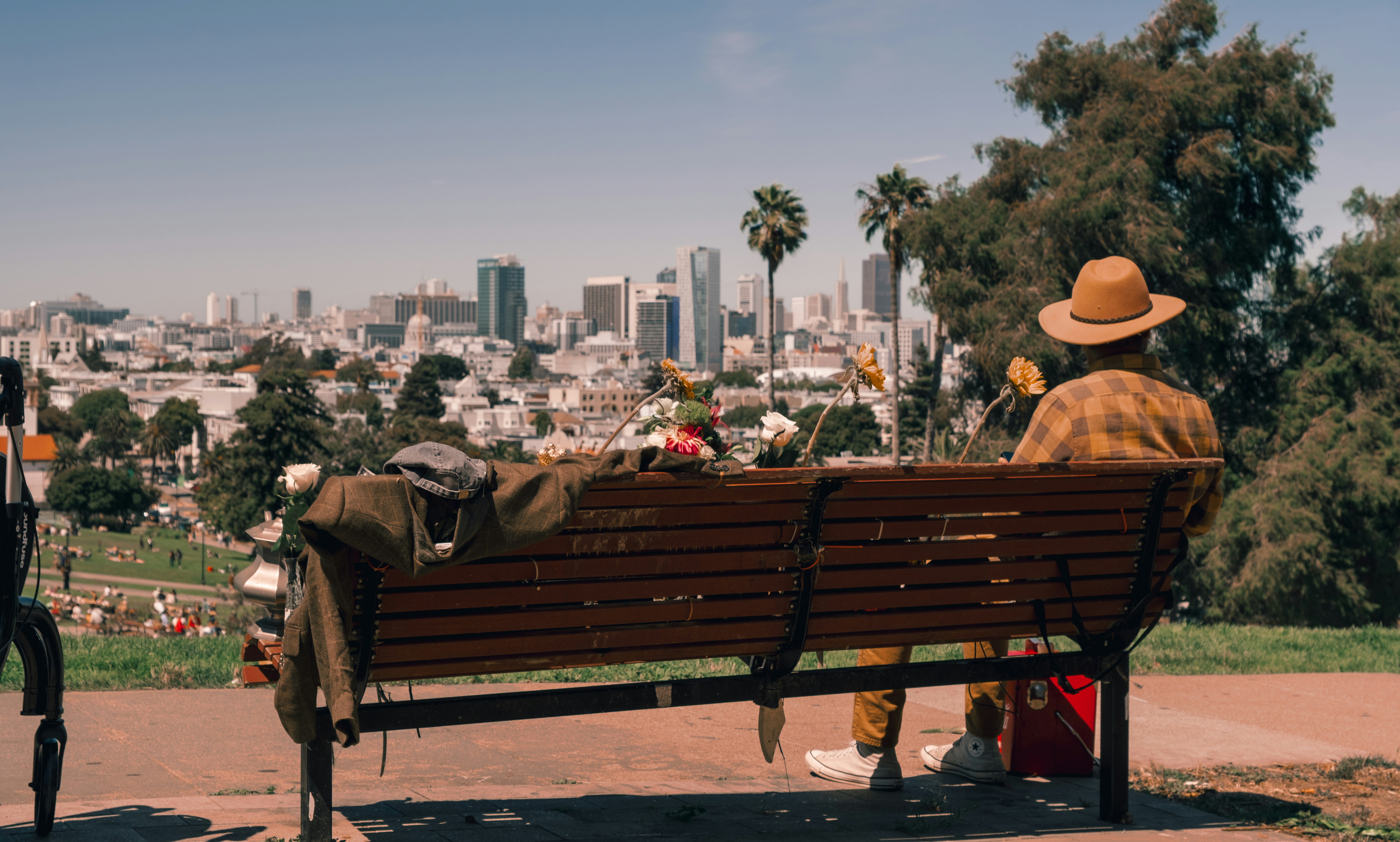 Sunlit City View from a Quiet Park Bench