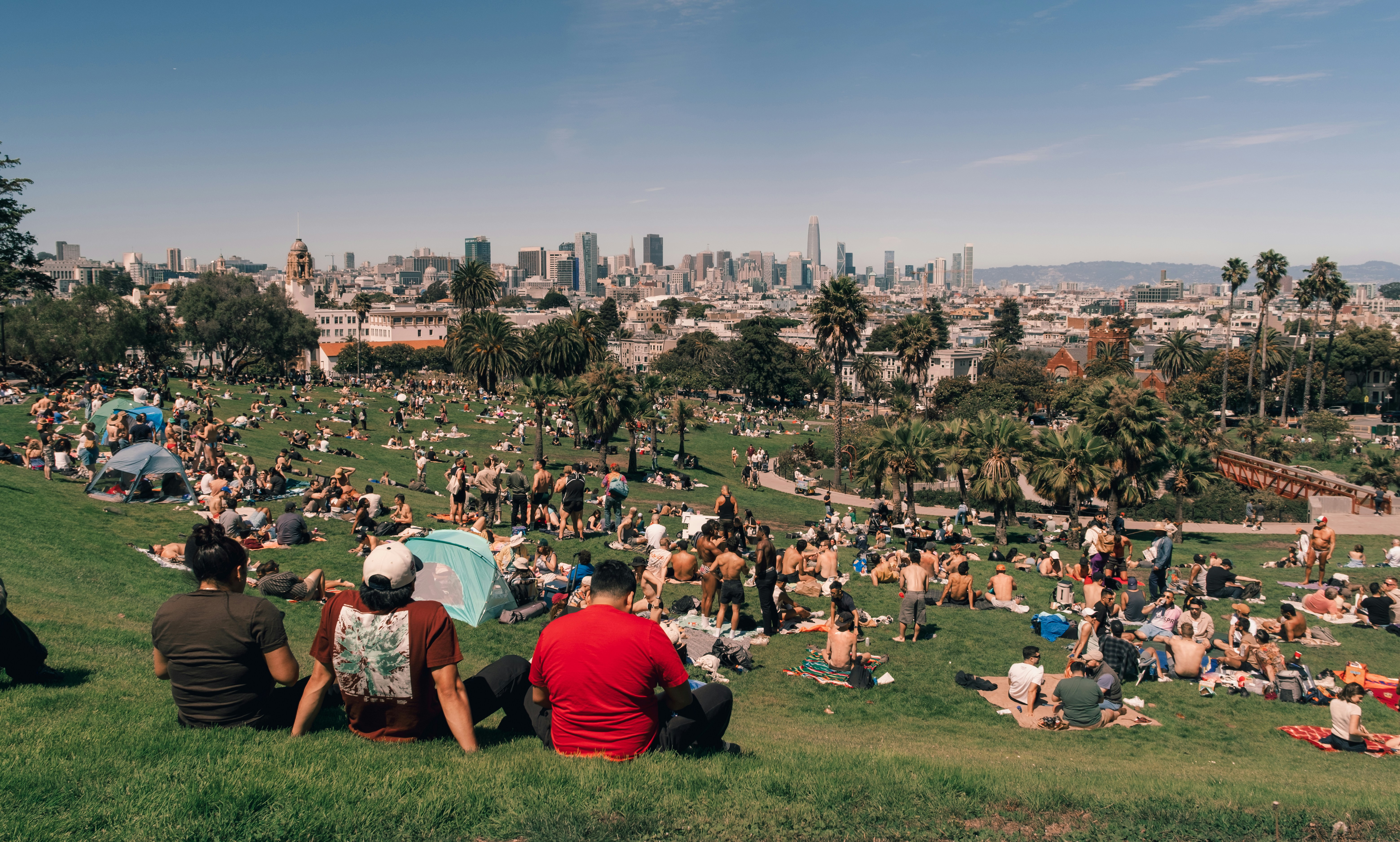 Sunlit Hillside Picnic with a City Skyline Backdrop