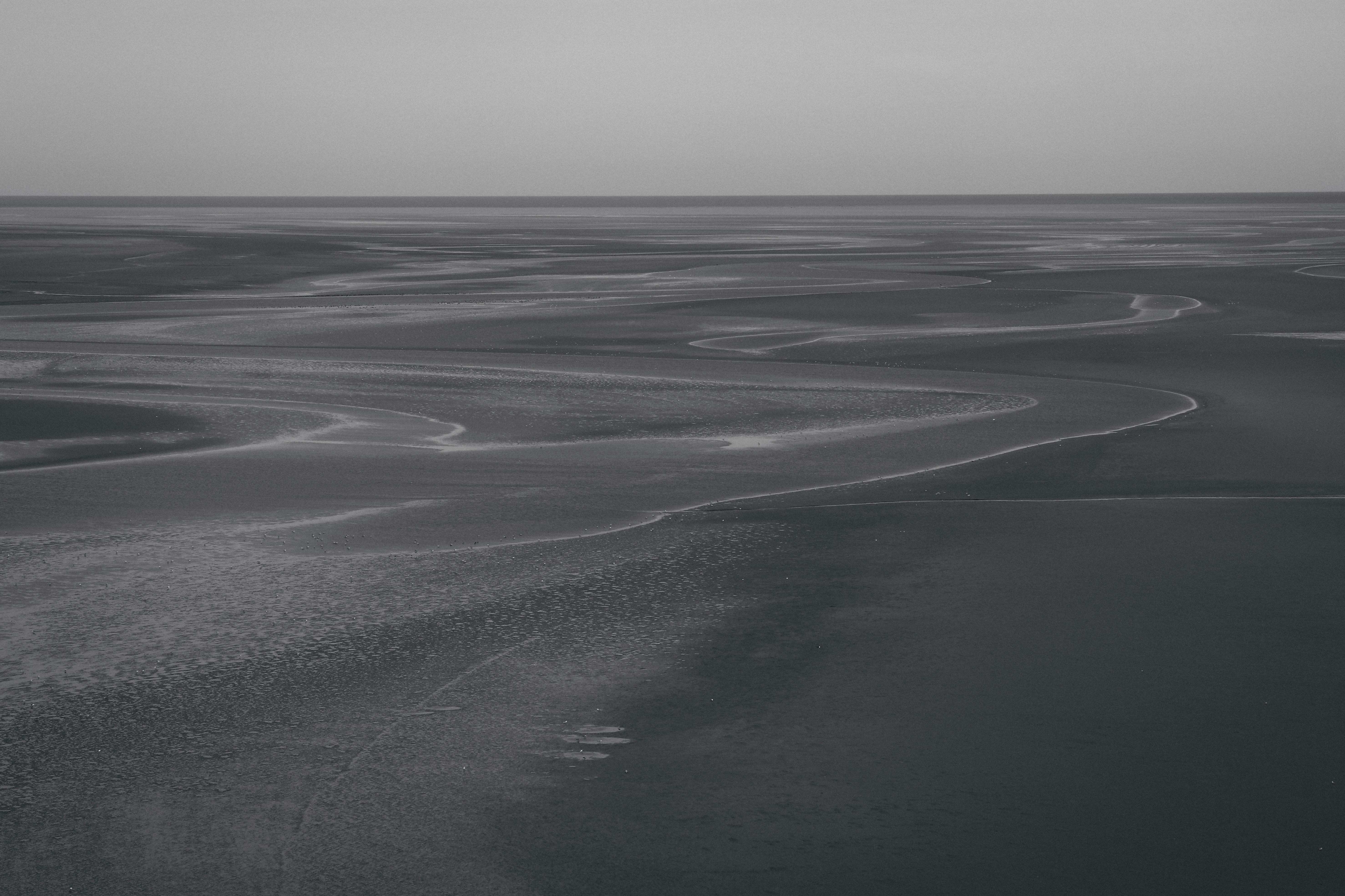 Curved Shorelines in Silent Gray Seascape