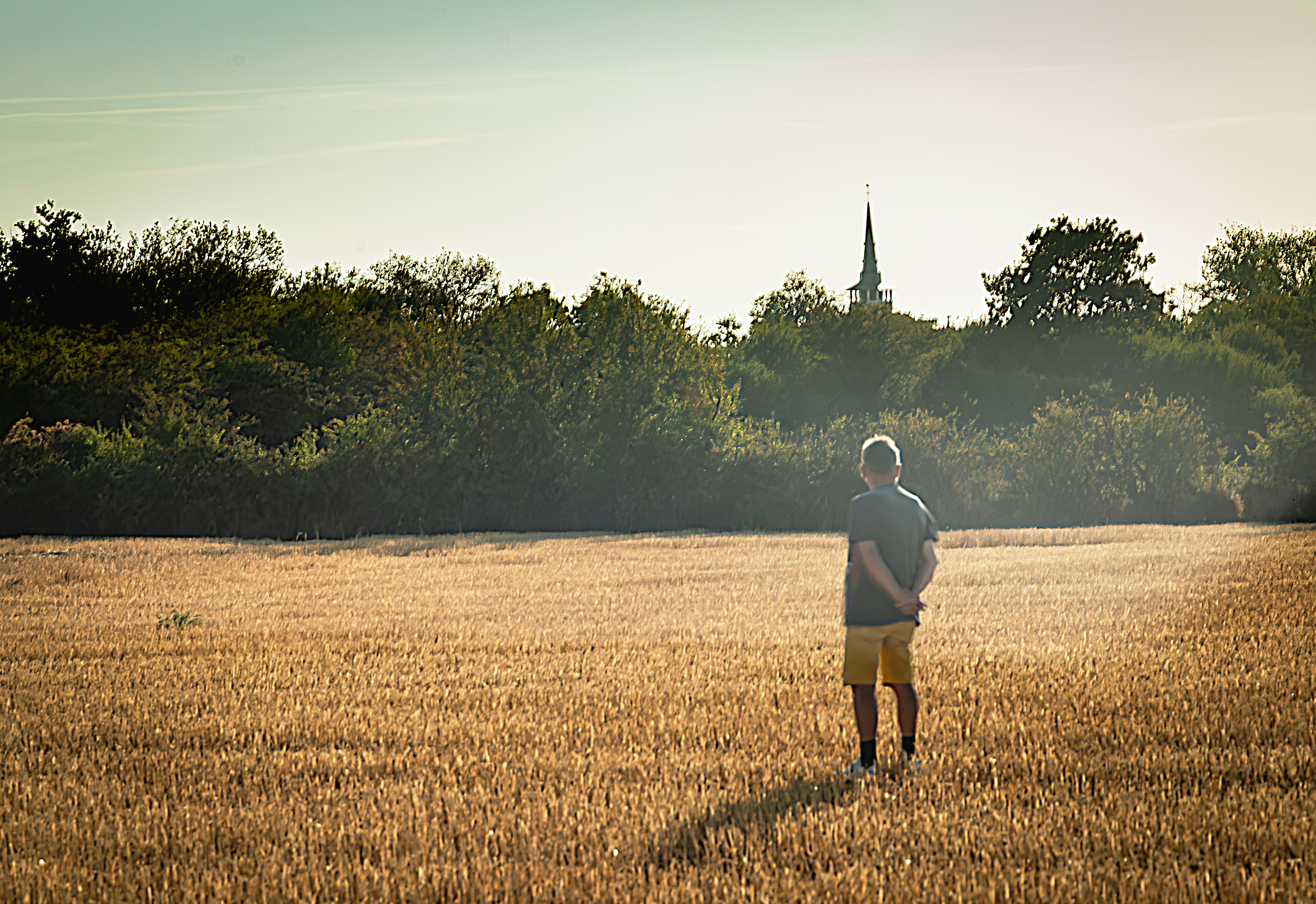 Fieldbound Runner: A Quiet Portrait at Dusk