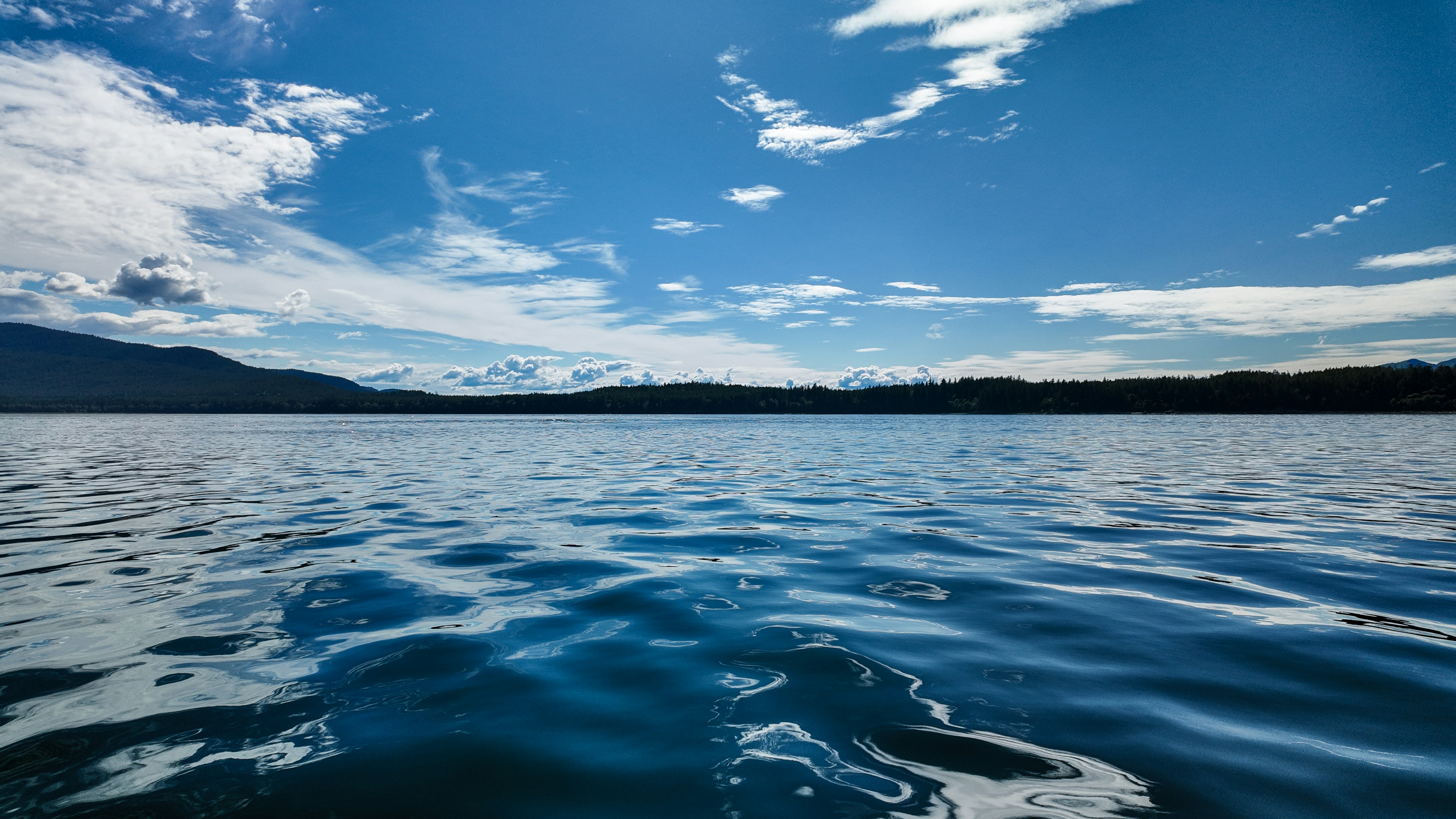Calm lake stretches to a distant treeline beneath a bright, partly cloudy sky; water ripples reflect blue tones, conveying a tranquil landscape.