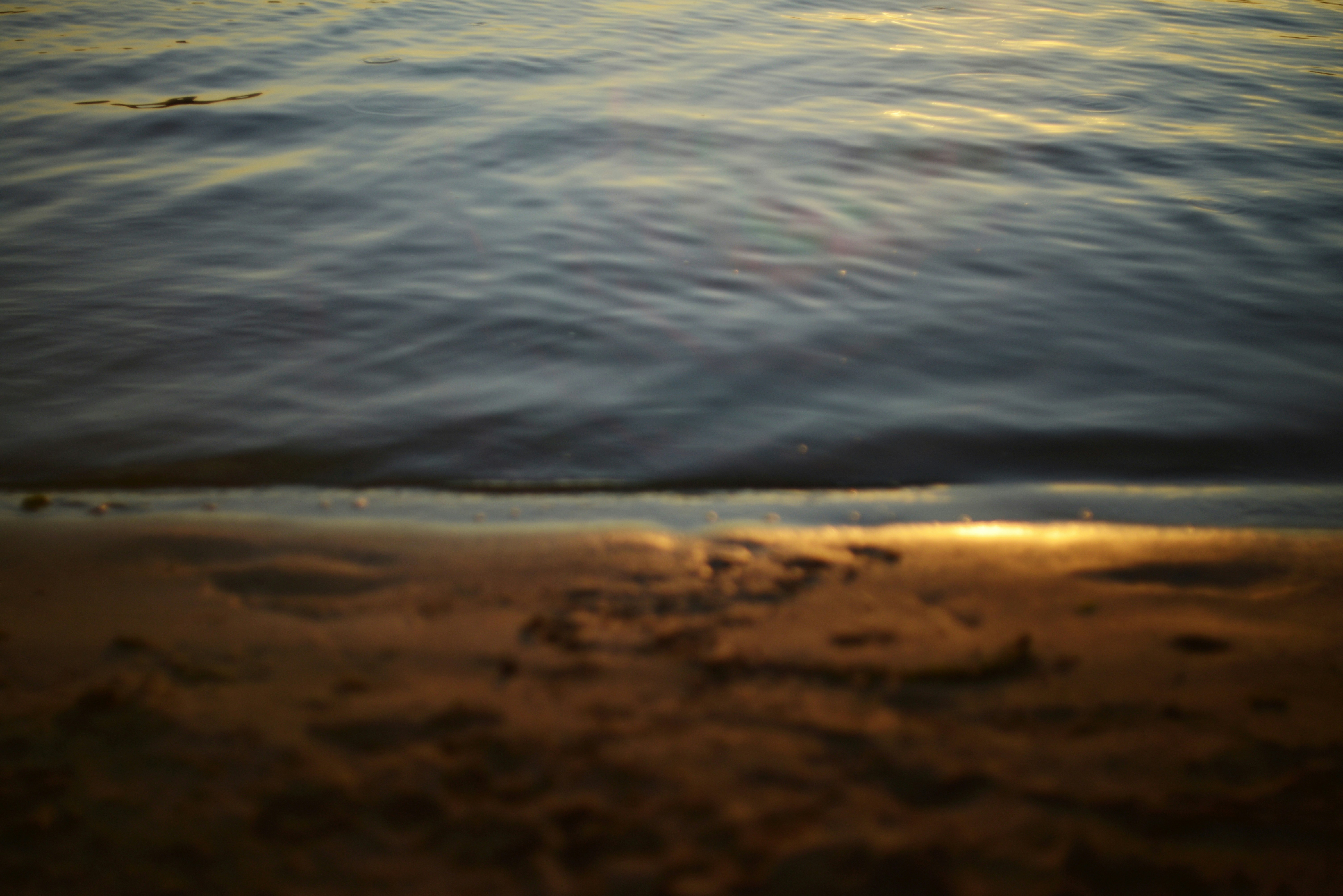 Soft shoreline glow: a quiet moment at the water's edge
