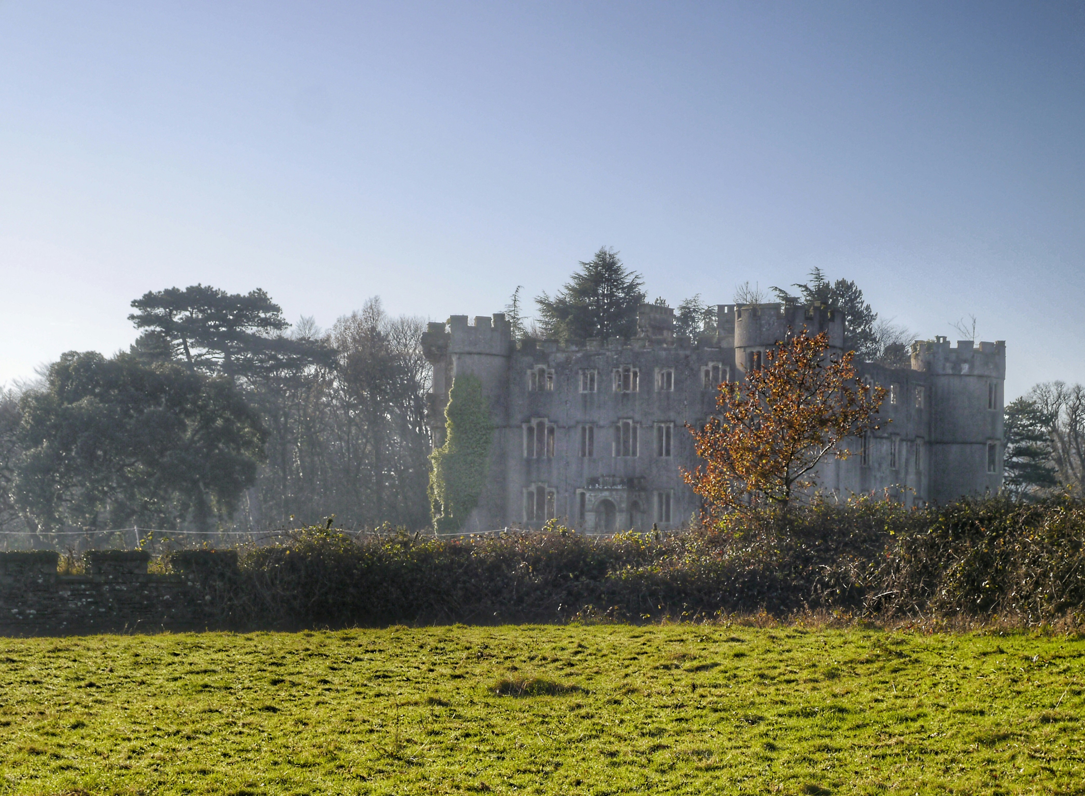 Stone castle rises behind a trimmed hedge, with a lone tree displaying autumn leaves above a sunlit meadow.