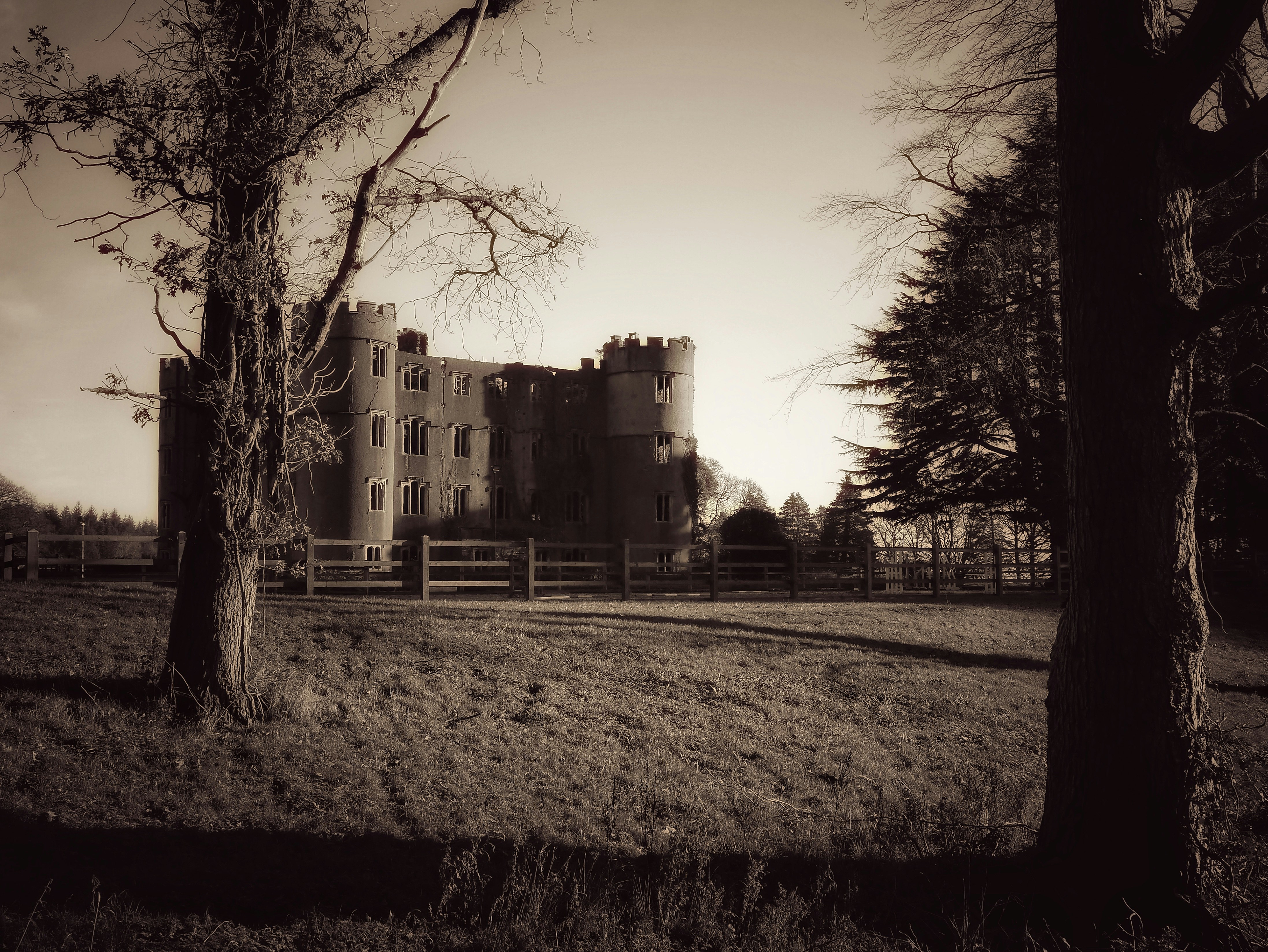 Desaturated scene of a castle-like building framed by trees and a wooden fence, with soft grass foreground and long shadows, emphasizing a quiet, historic landscape.