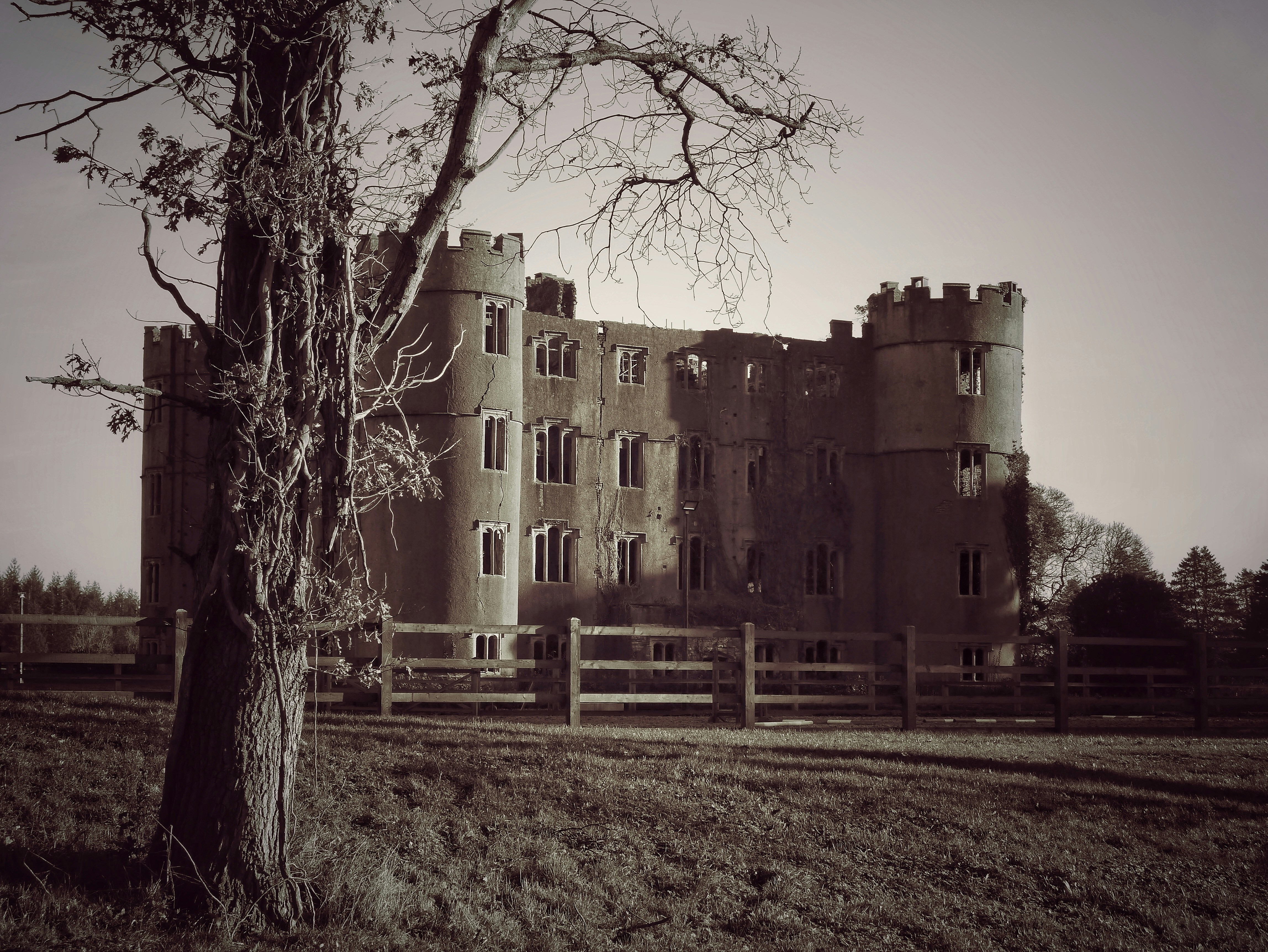 Sepia-toned castle ruin framed by a gnarled tree in a rural field, with wooden fence and open terrain in the foreground.