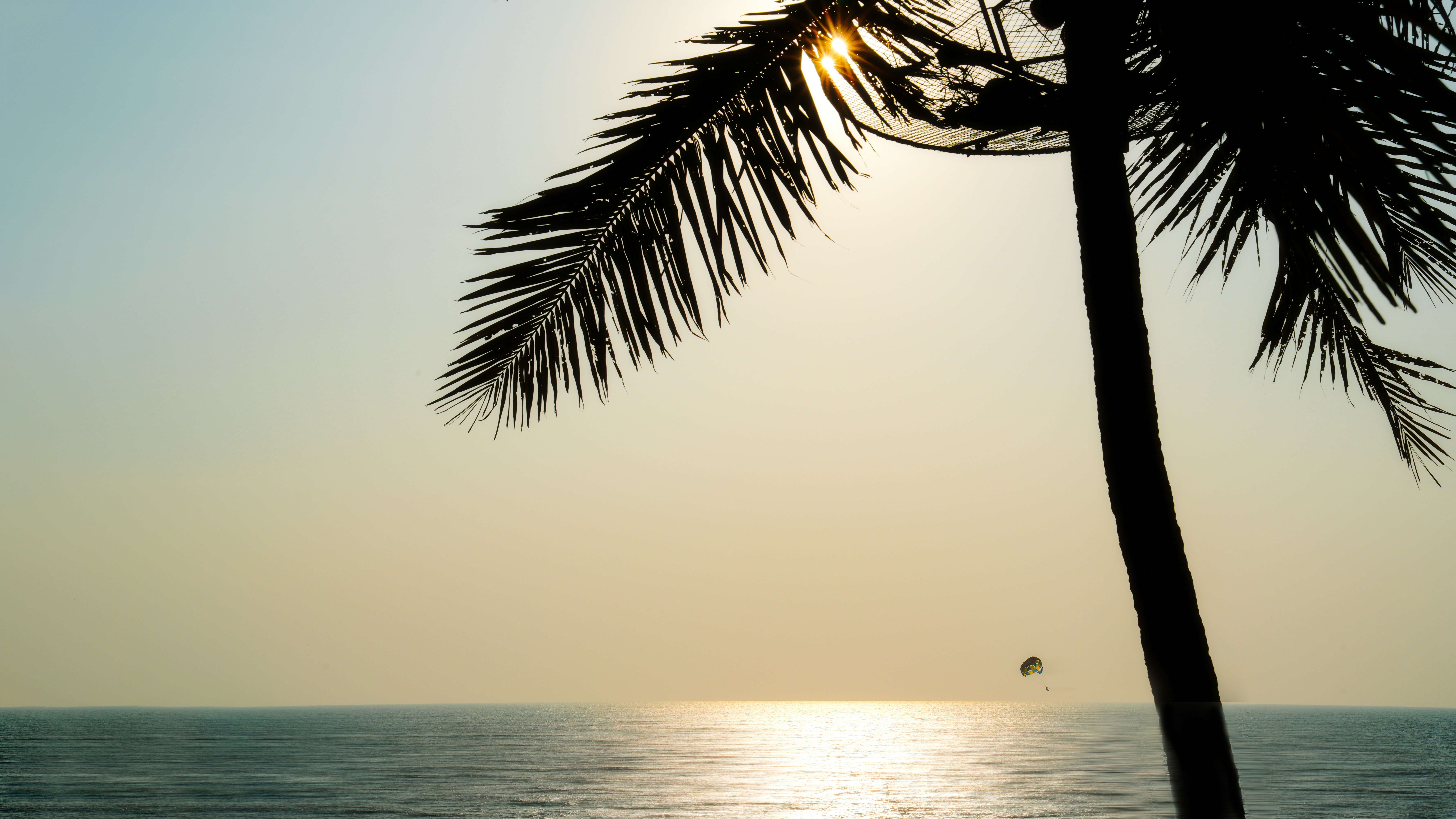 Sunset Palm Over Ocean: Quiet Horizon with Dangled Fronds