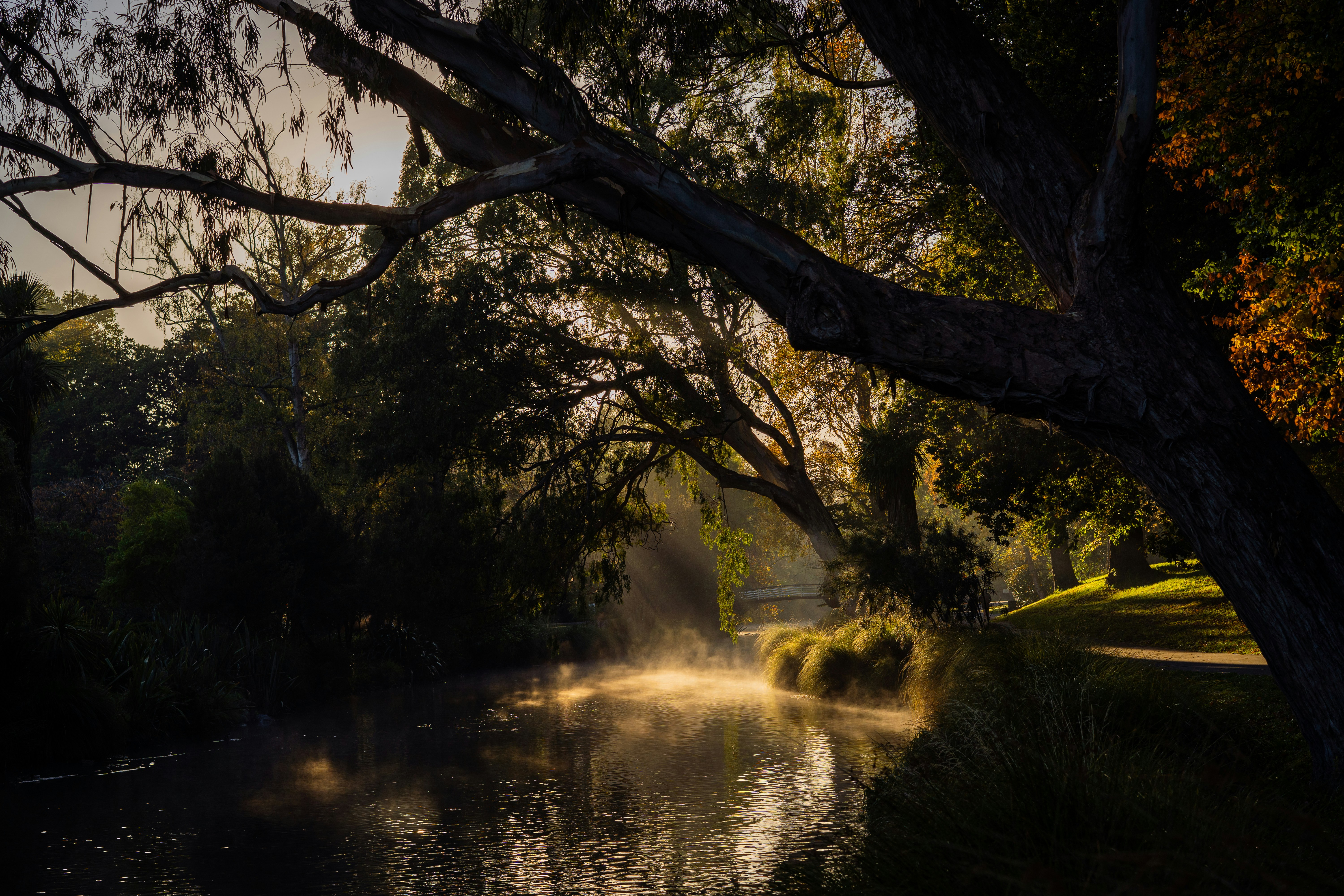 Mist over the Quiet Bend: Dawn Light on a Serene Waterway