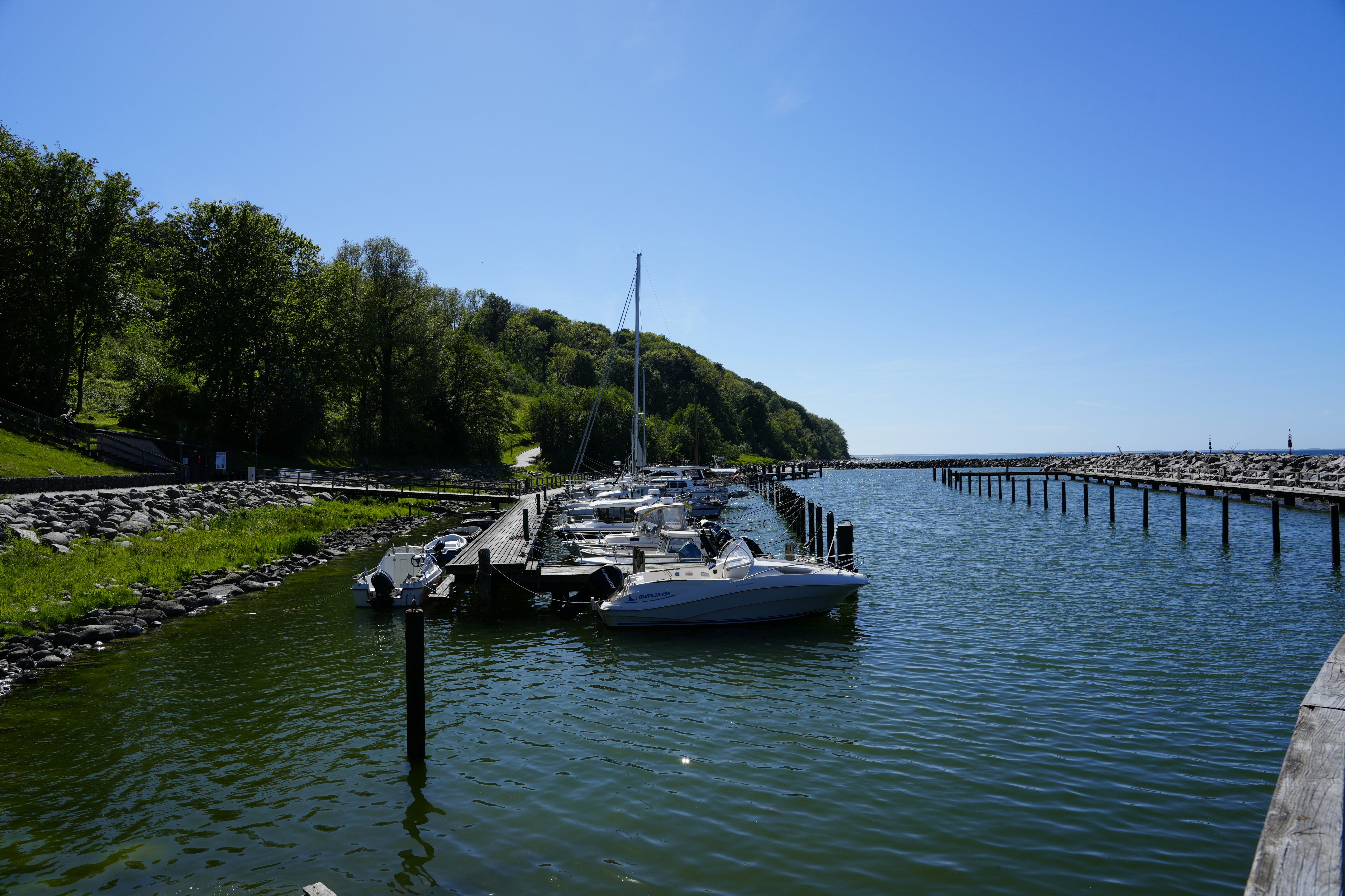 Marina at Dappled Light: Boats and Pier Along a Calm Coastal Reach