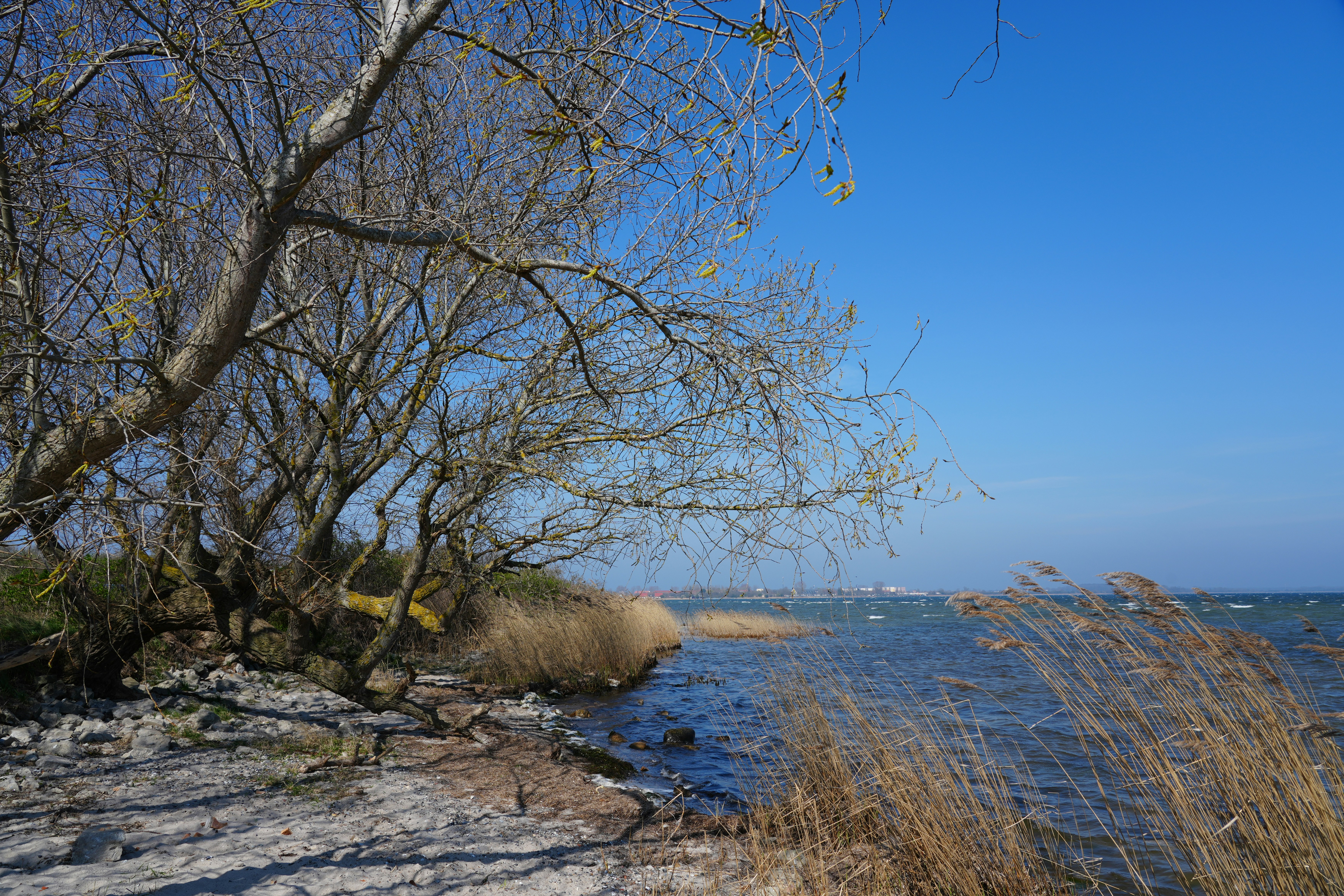 Seaside Shoreline with Weekend Breeze