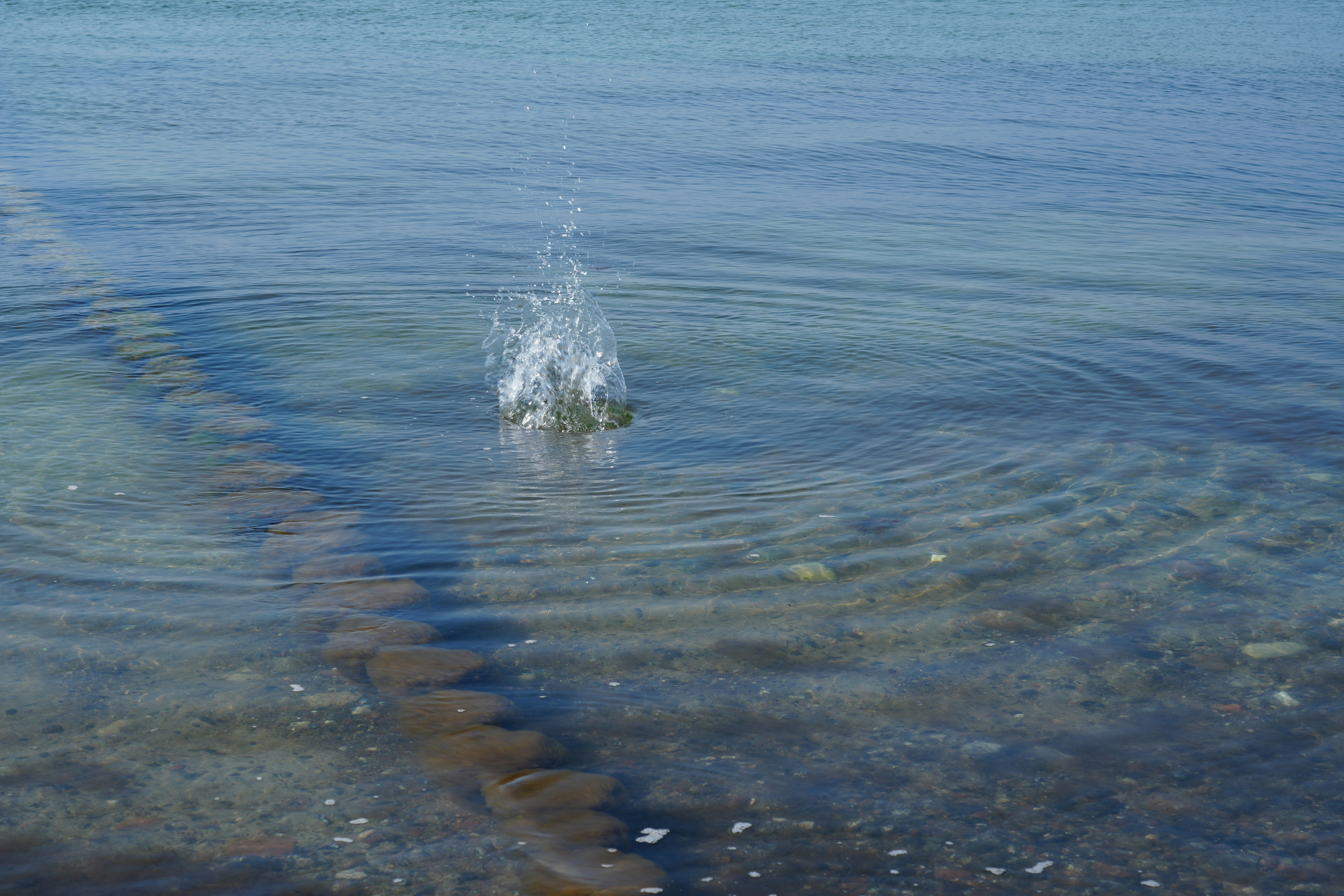 Splash Point: A Quiet Plunge in Clear Coastal Waters
