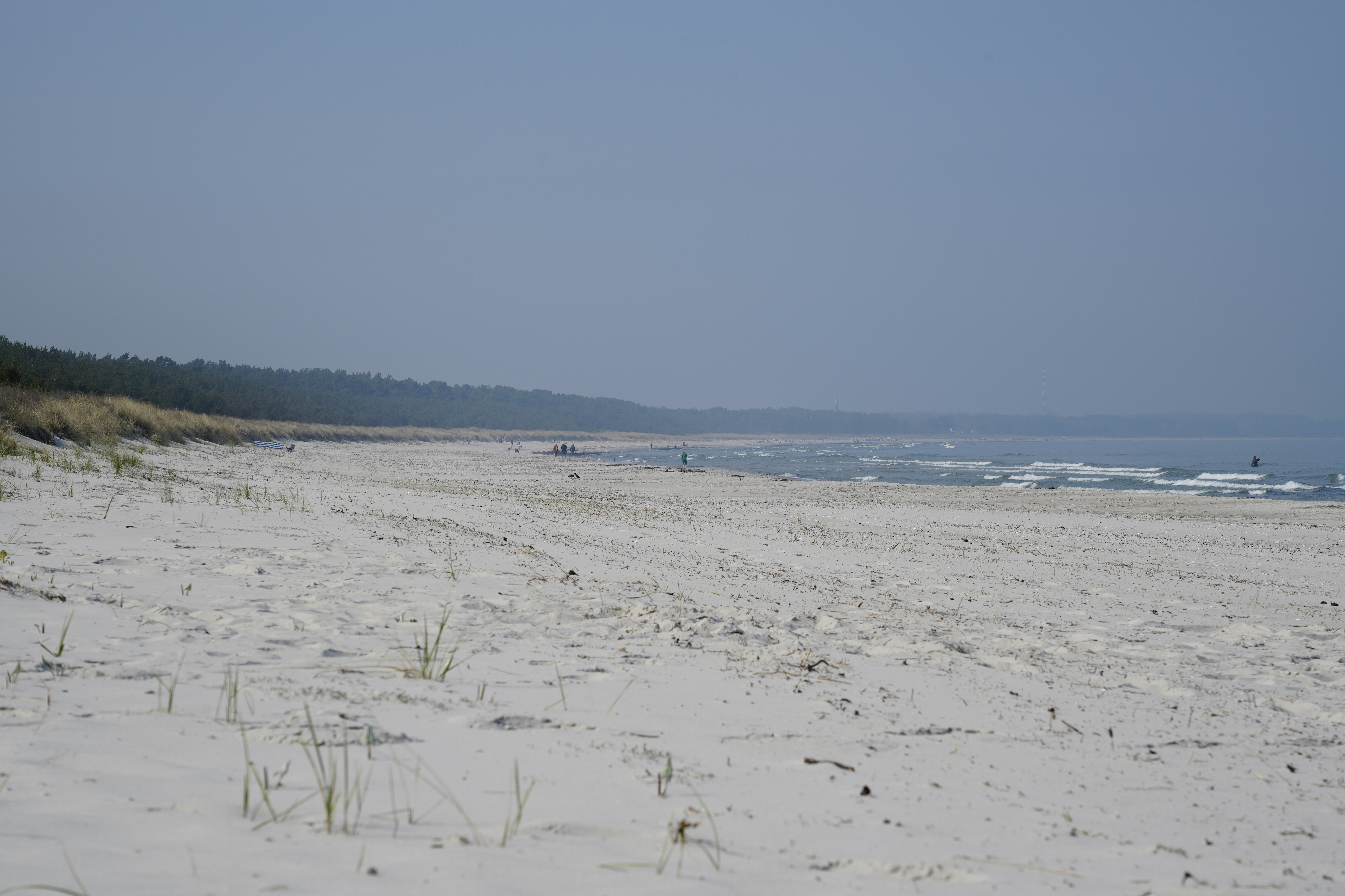Lonely Dune Watch: A Quiet Sweep of Estuary Sand