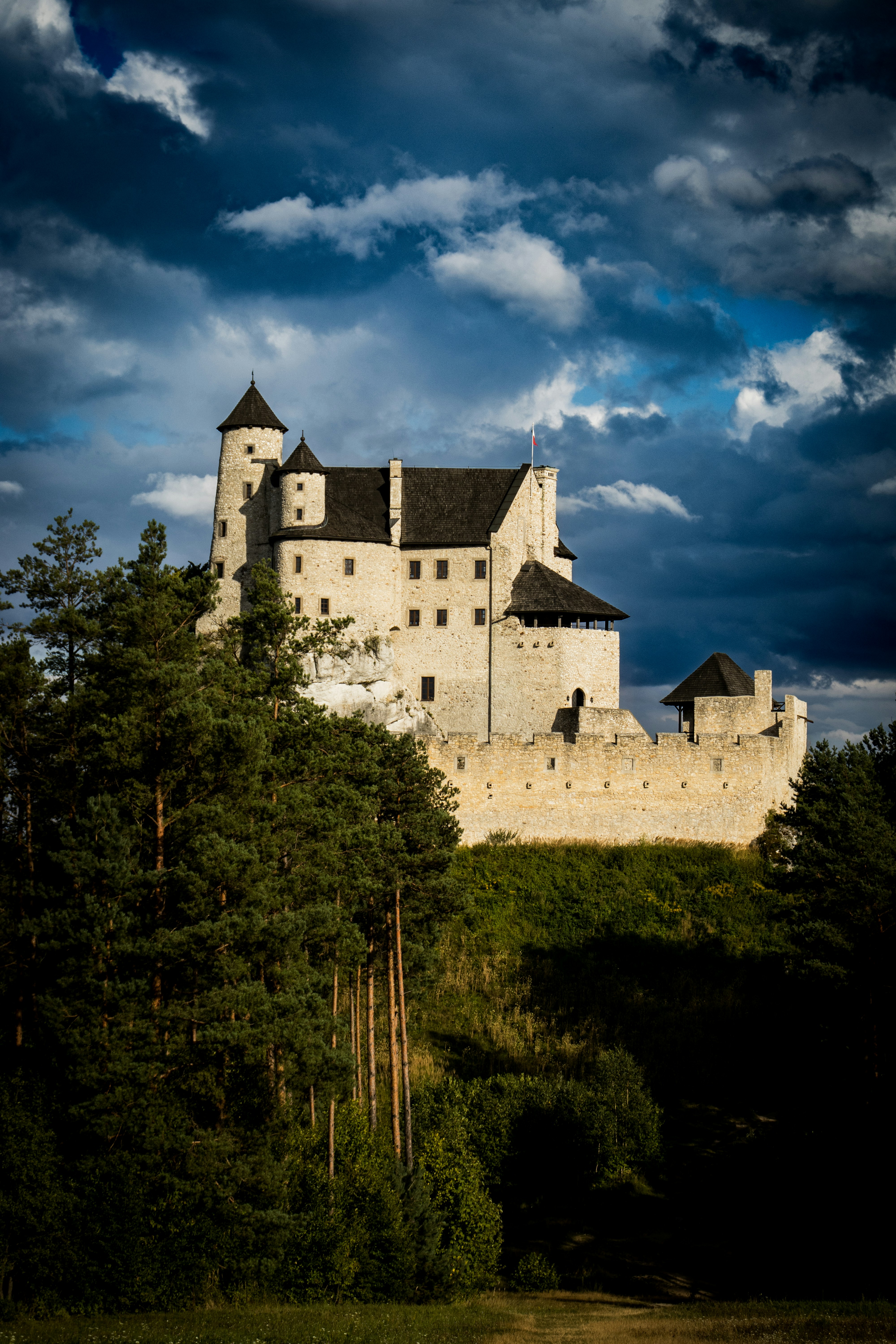 Castle on the Crest: Stones Above the Forest