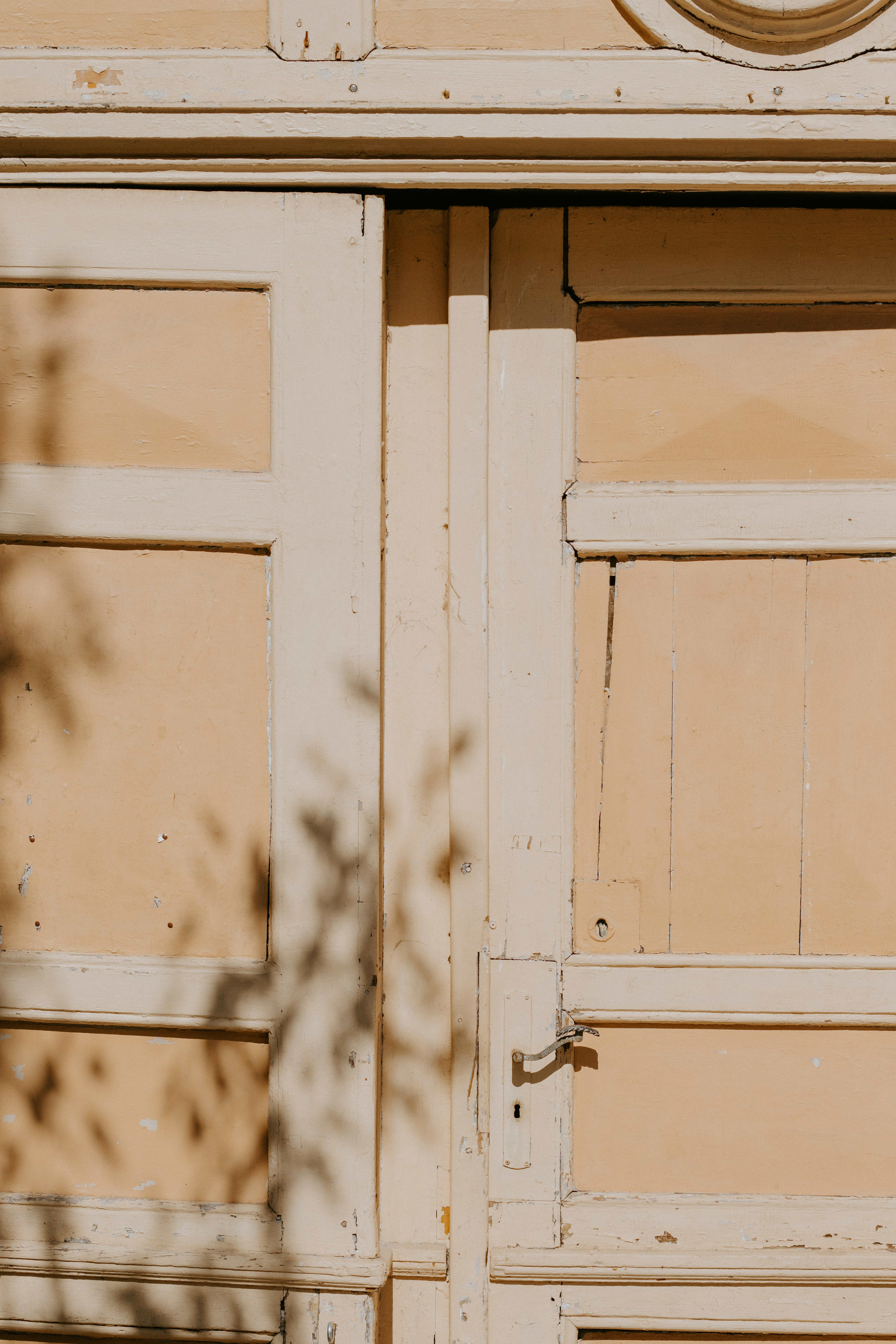 A weathered beige wooden door with a metal handle and leafy shadows