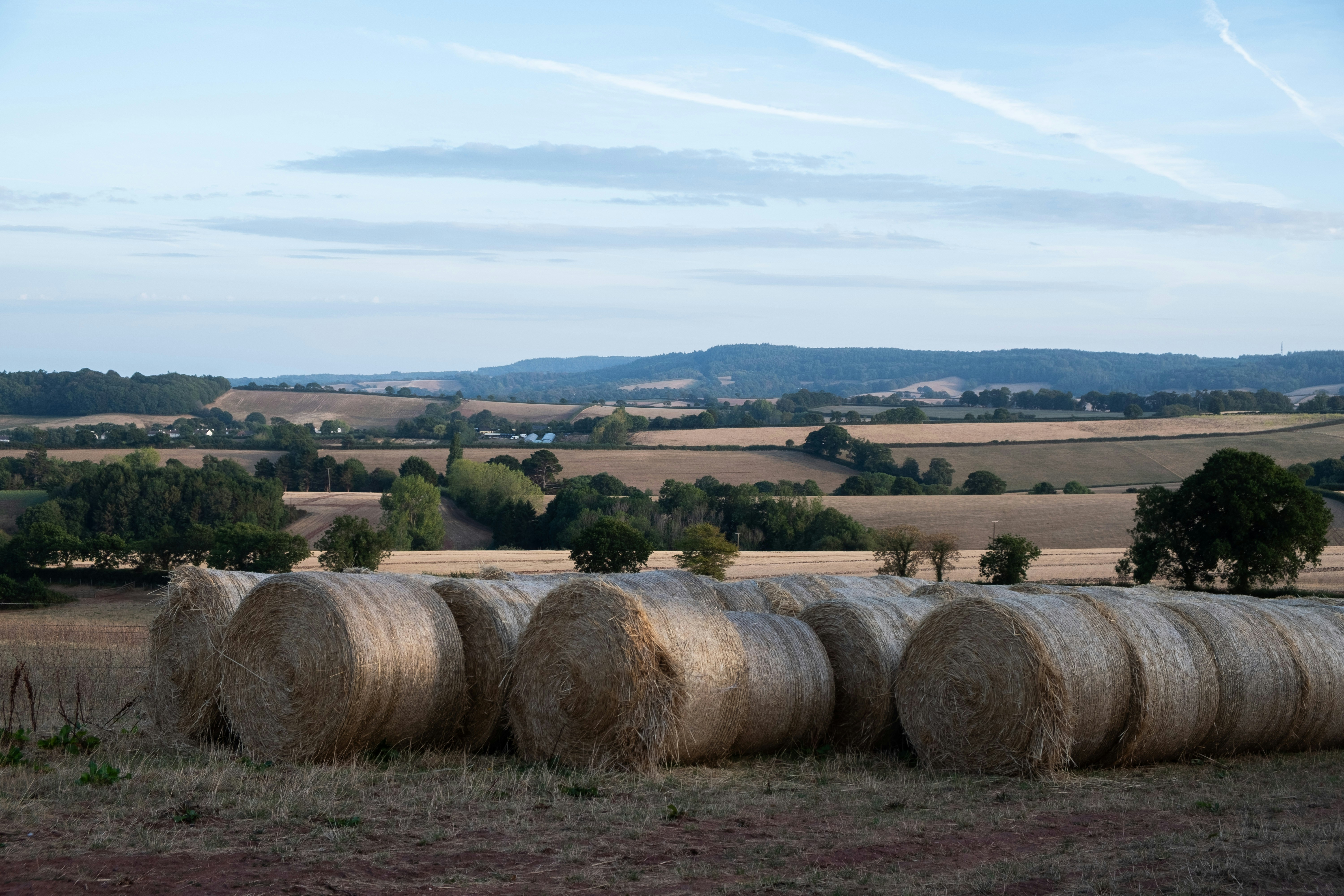 Rolled Fields and Straw Bales Under a Quiet Prairie Sky