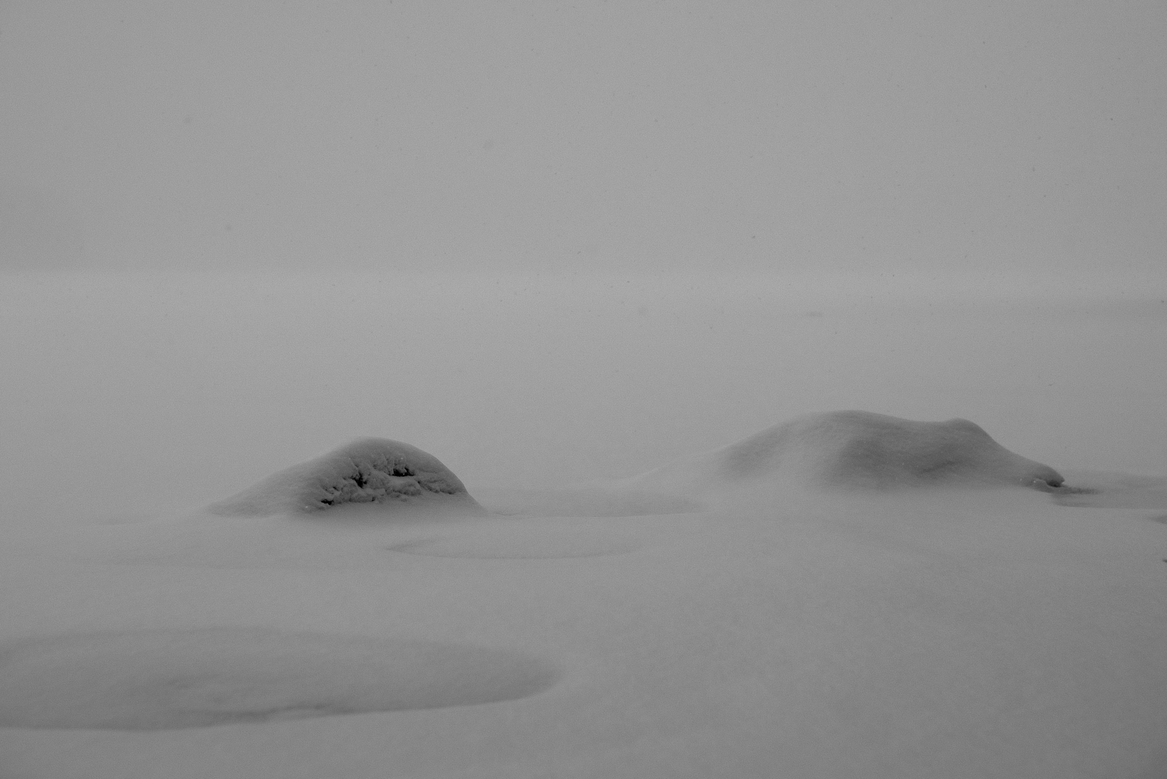Quiet Snowbound Ridge: Subtle Dunes Beneath a Pale Sky