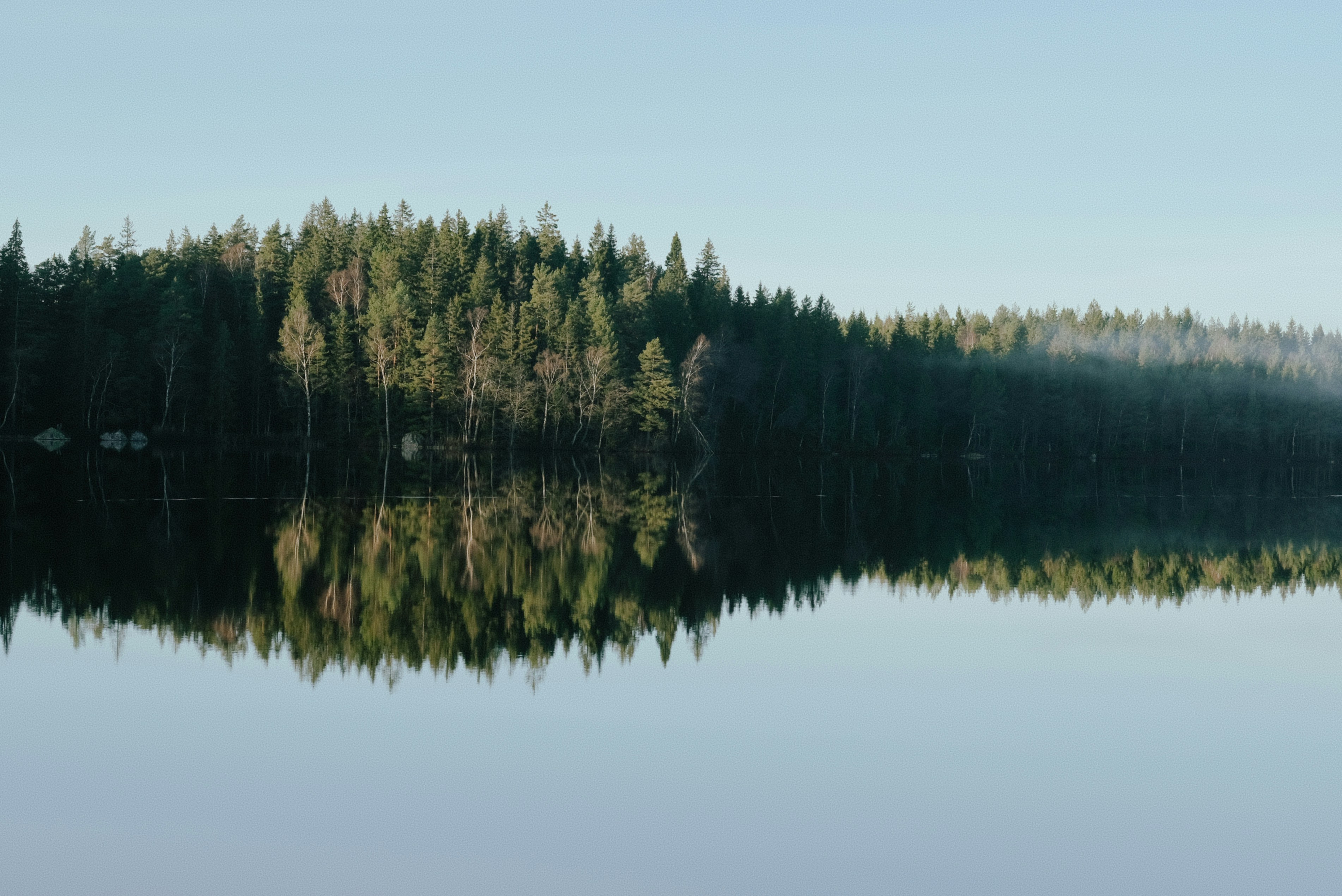 Mirror Lake: Calm Forest Edge at Dawn