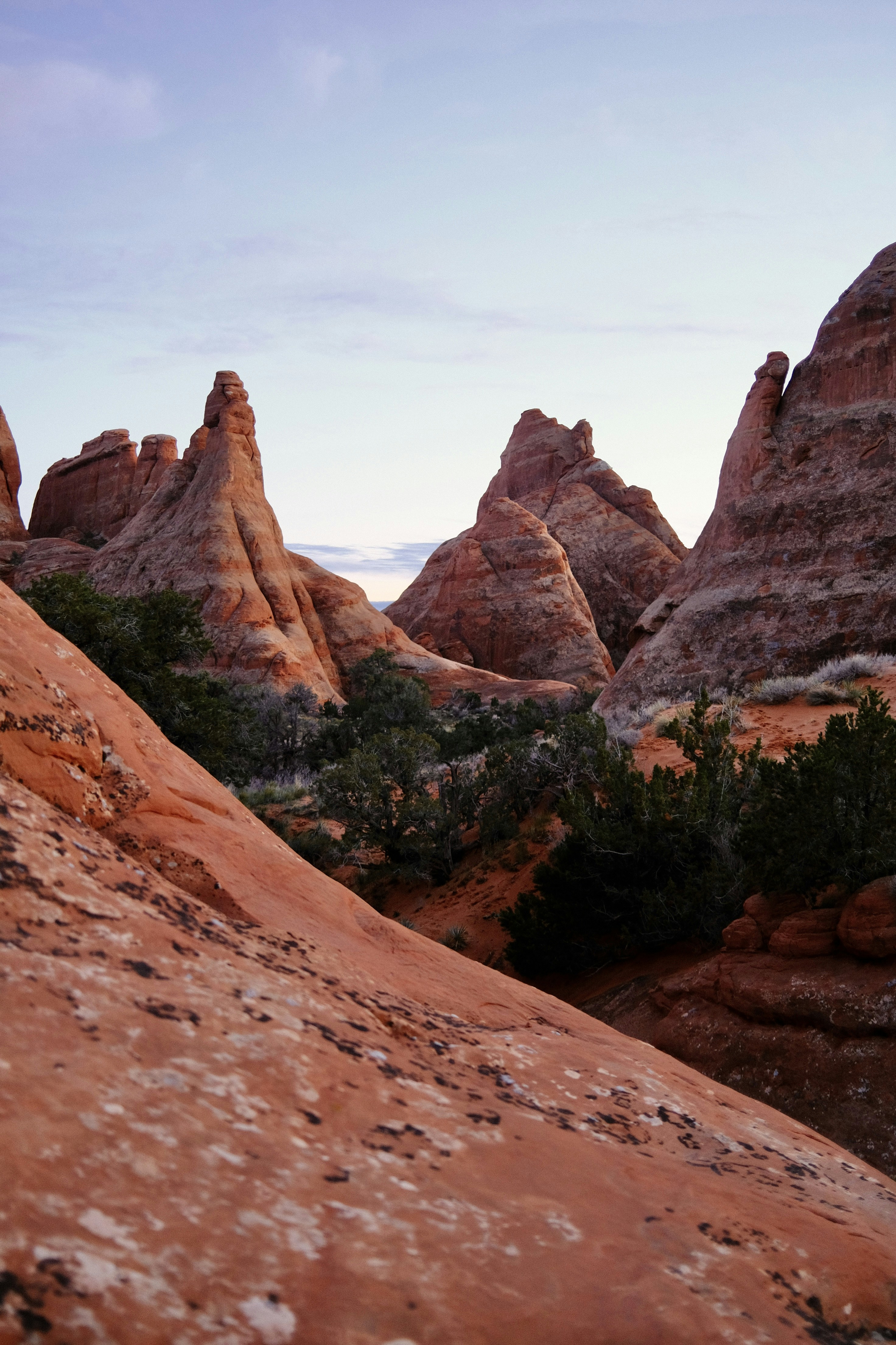Desert Windcarvings: Red Formations Rise Above Silent Pines