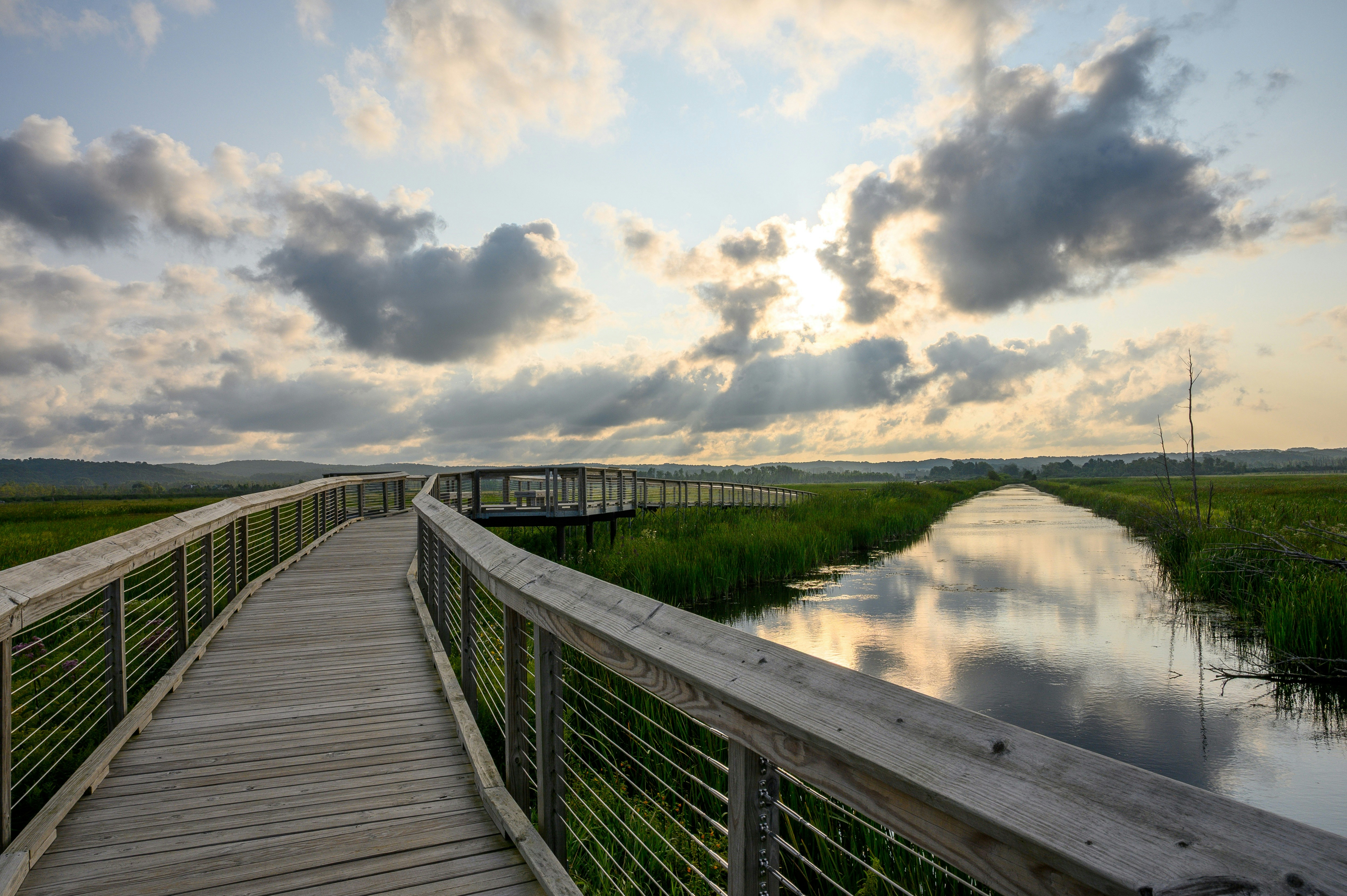 Sunlit Boardwalk Through Marshes at Distant Horizon