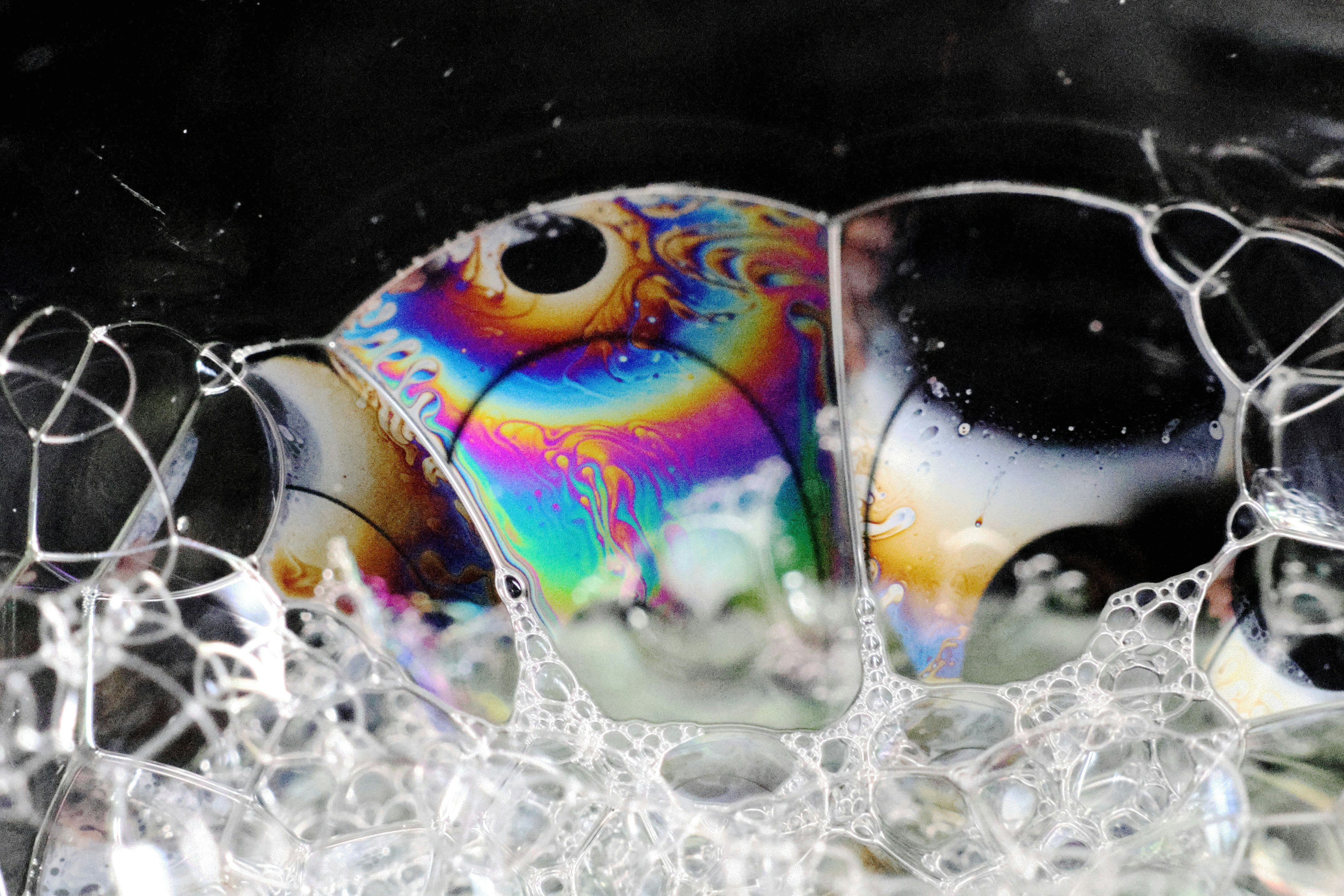 Iridescent Iris Under Soapy Veil