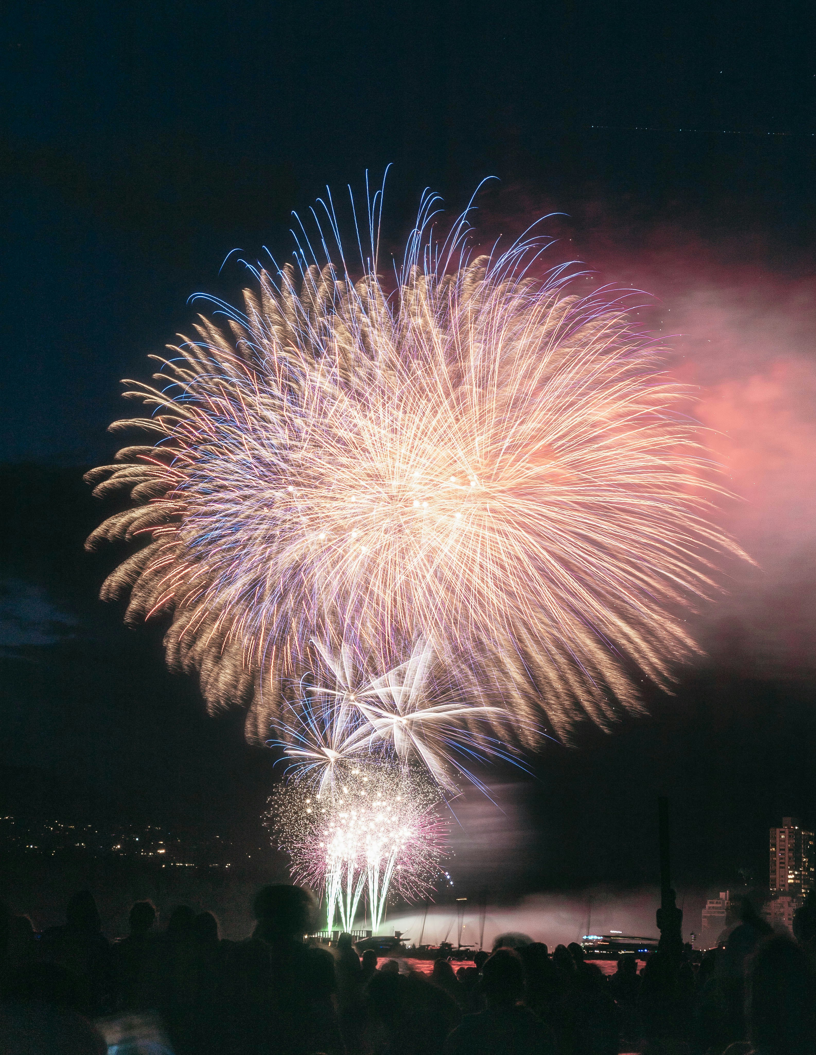 Firework Bloom Over a Distant City Skyline