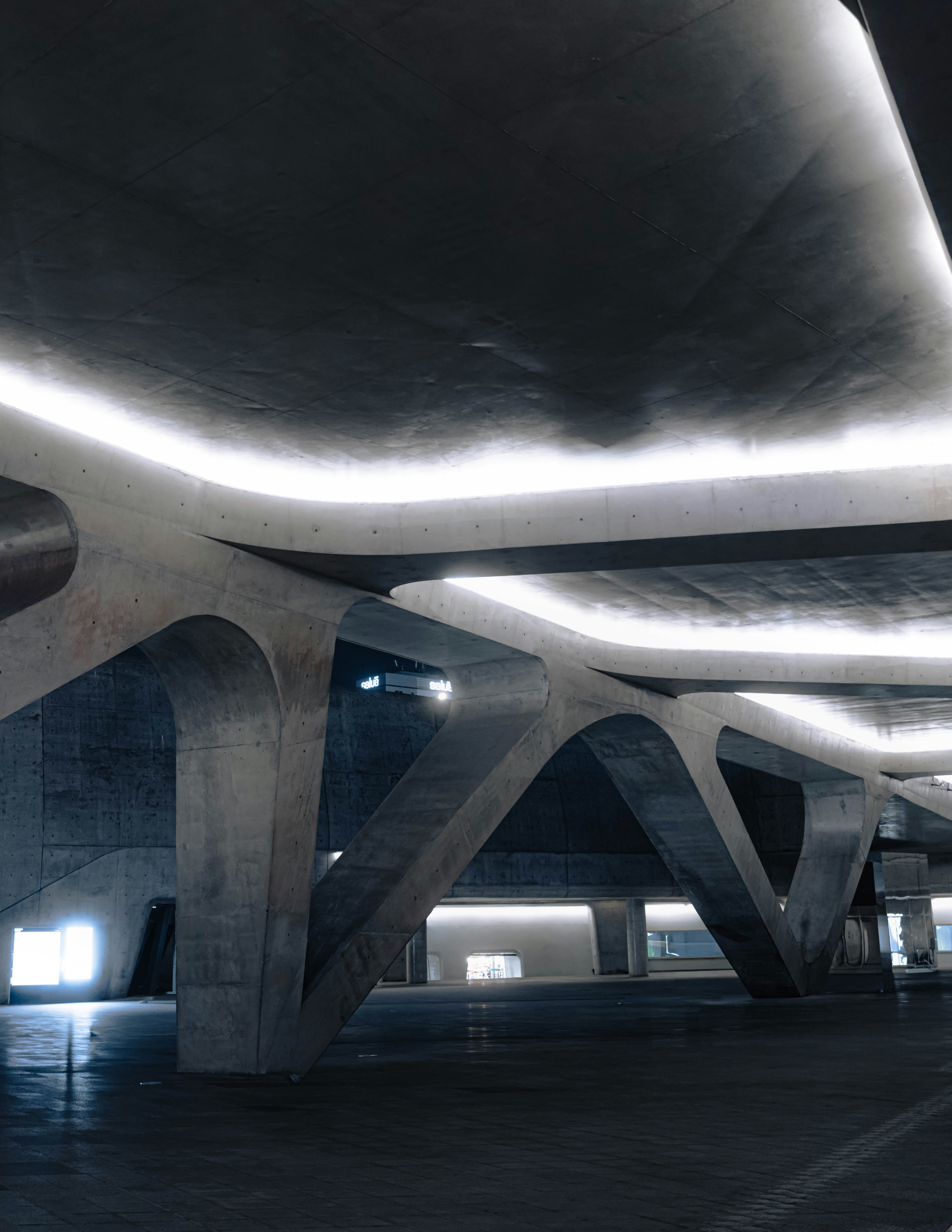 Industrial Cathedral: Curves, Light, and Concrete