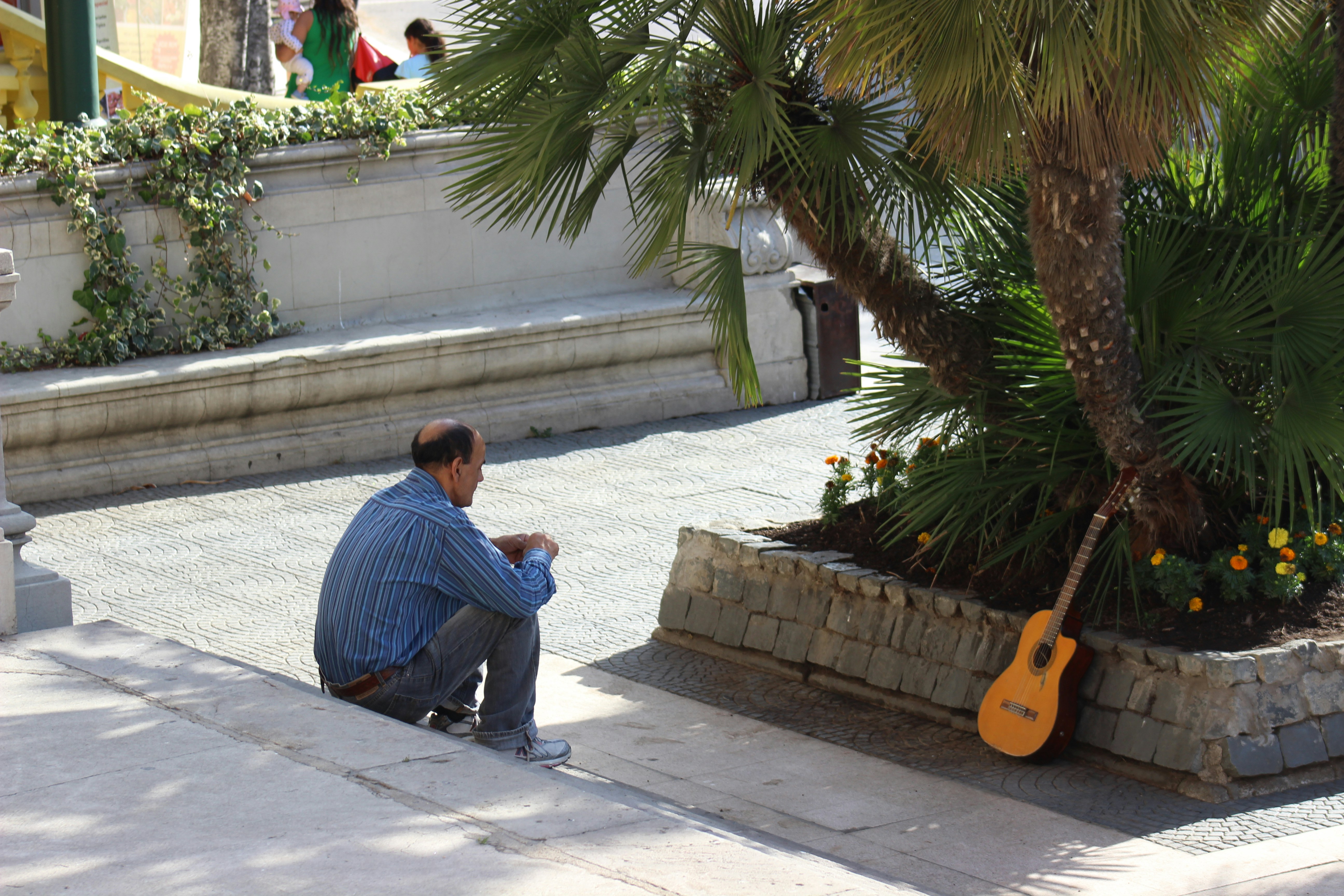 Solitary Guitar by the Palm, A Quiet Street Corner