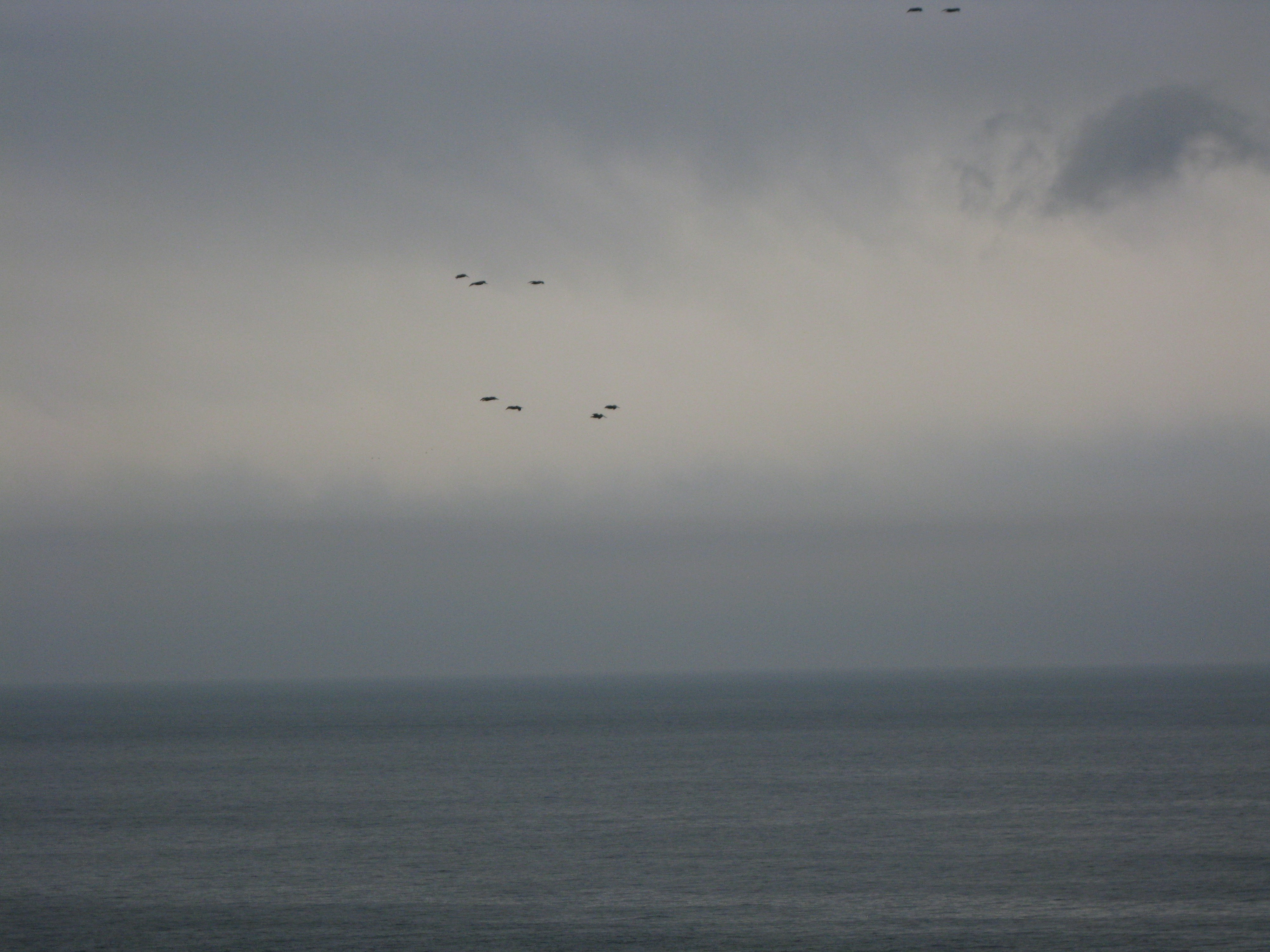 Vessels in the Mist: Dawn Flight over a Quiet Sea