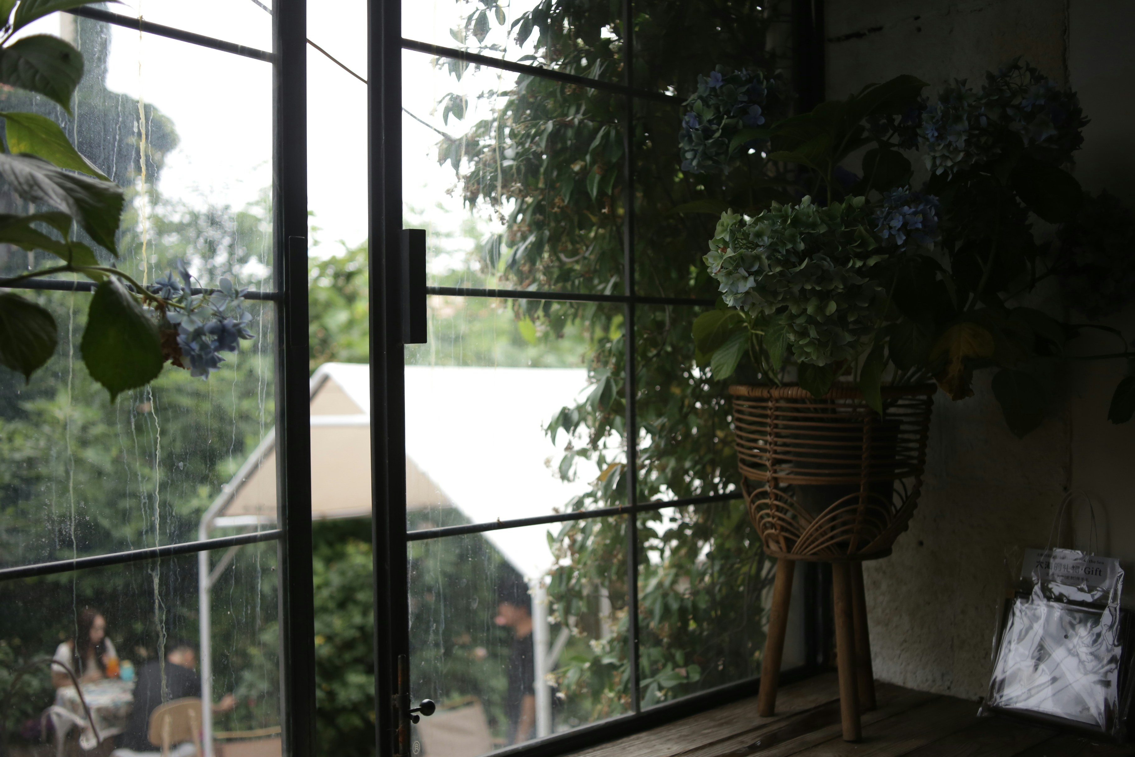 Sunlit Conservatory Through Wide Glass: A Quiet Interior Garden Moment