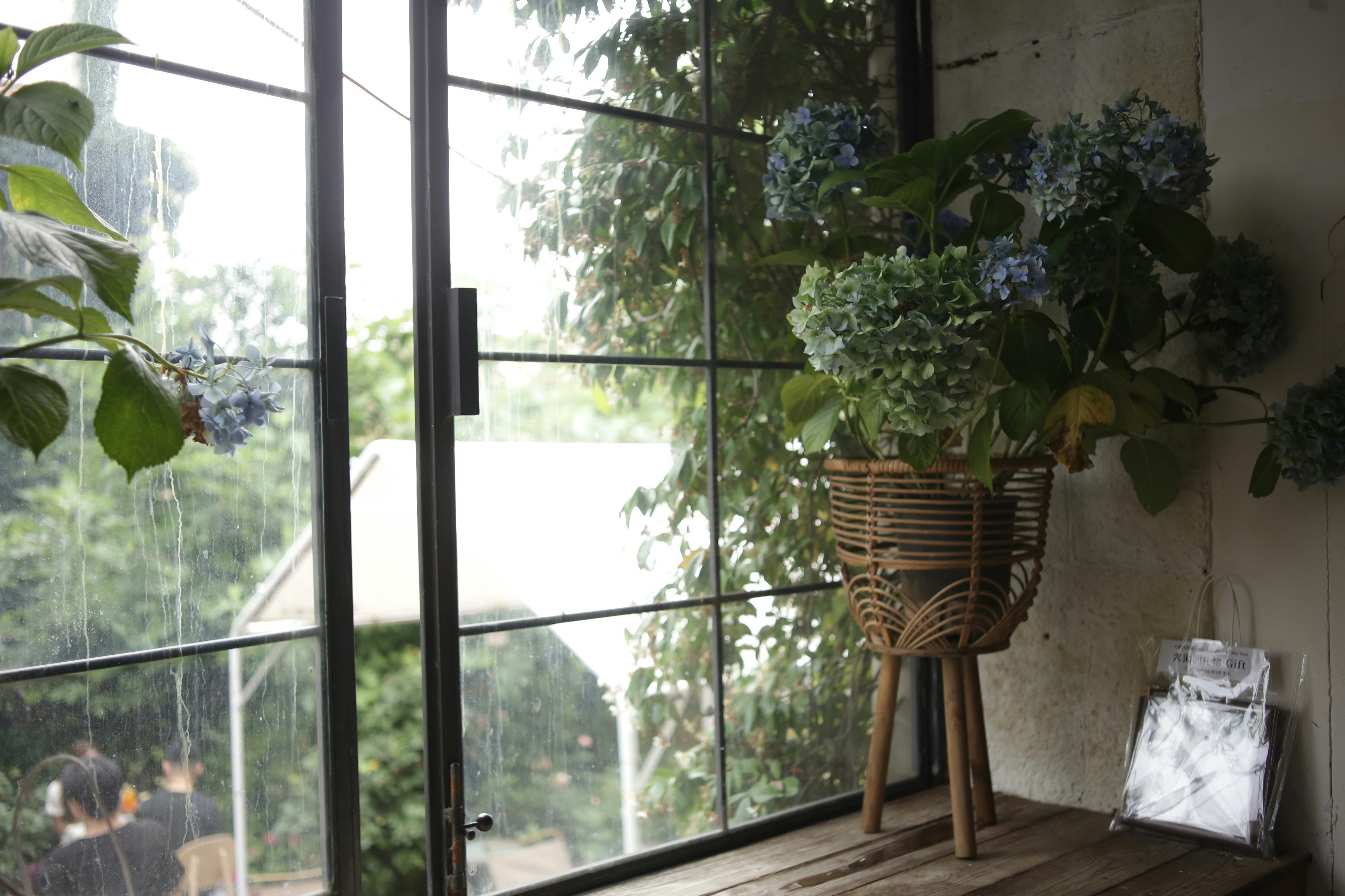 Hydrangea Balcony Studio in Soft Morning Light