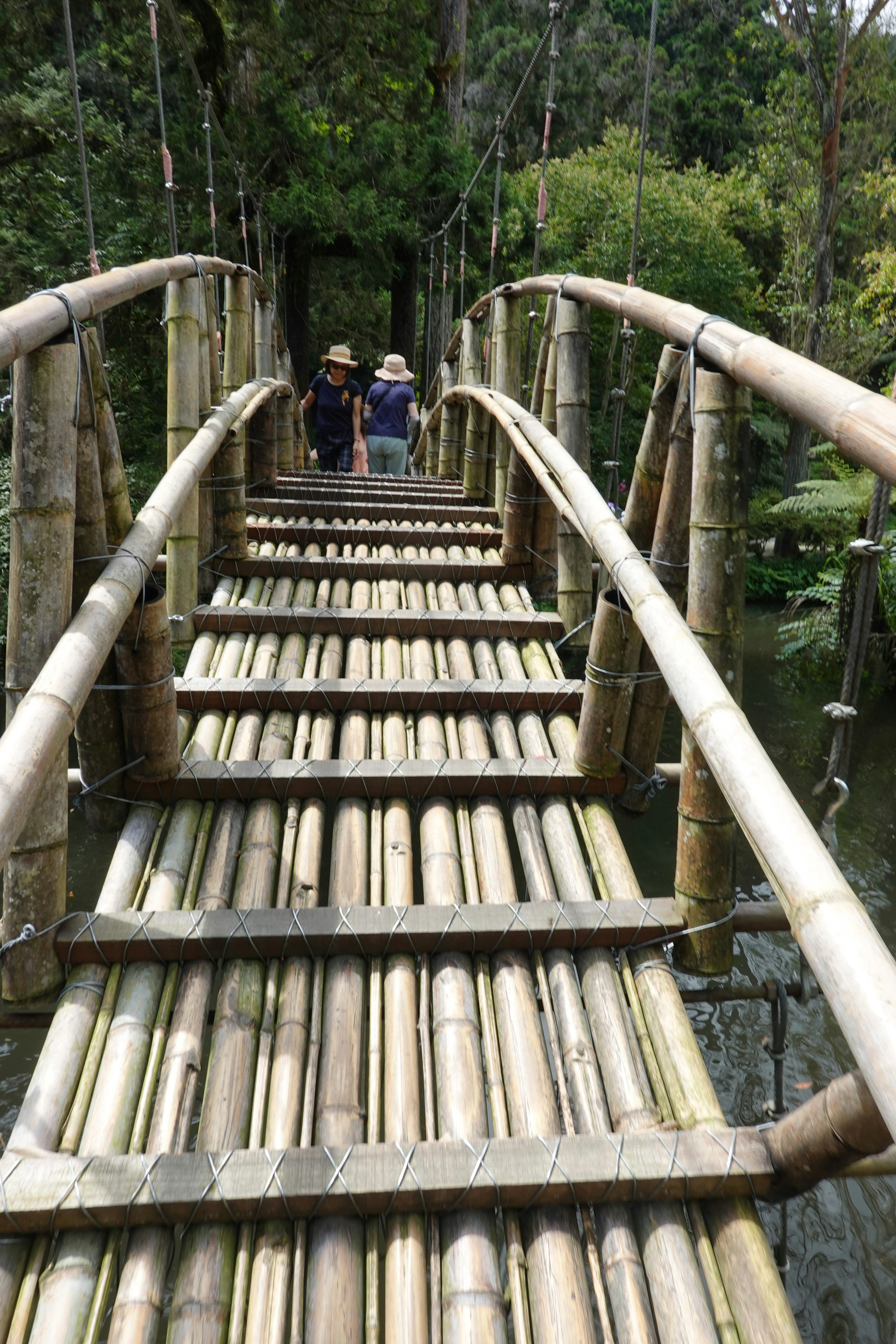 Crossing the Bamboo Bridge: Friends in the Dappled Light