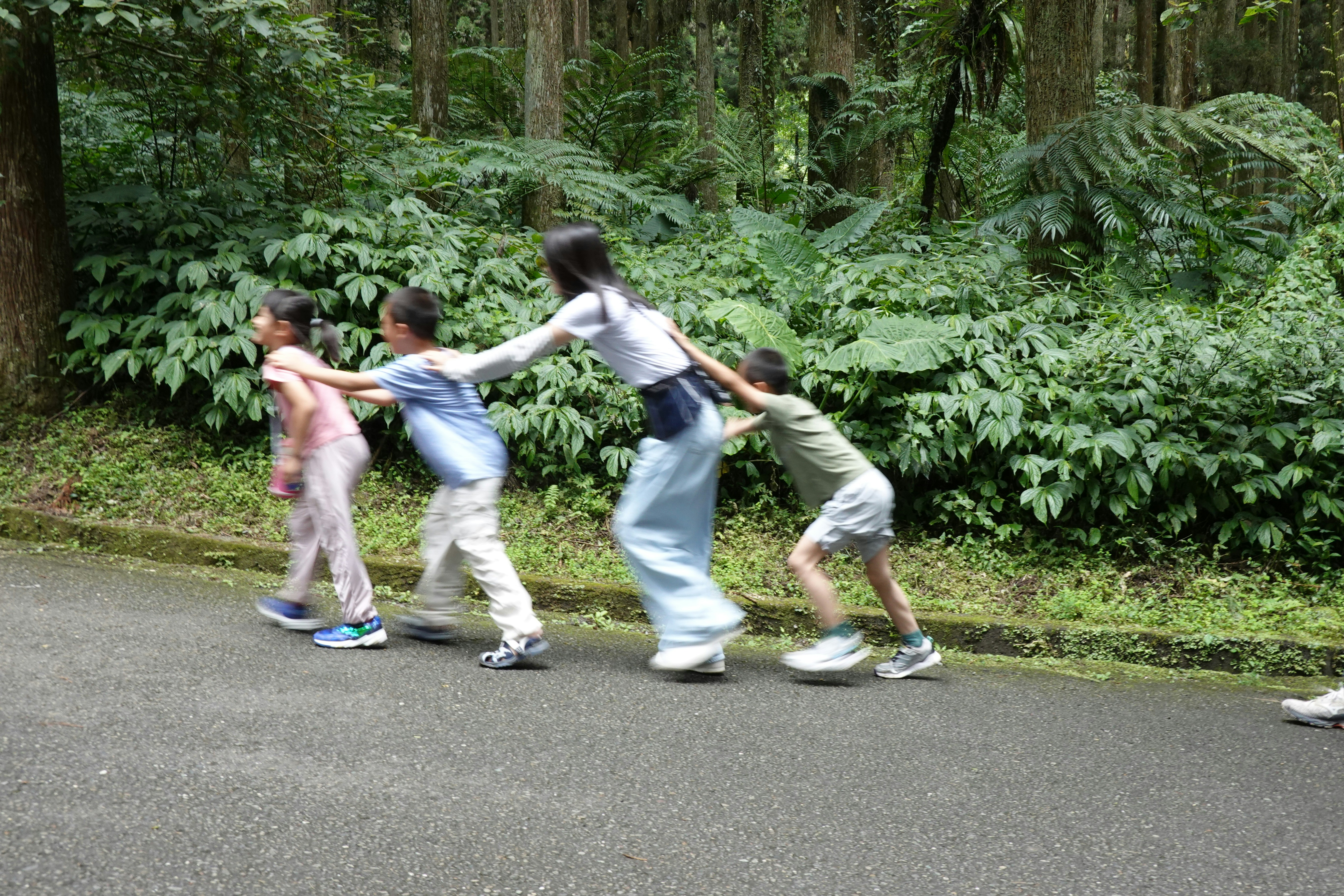 Line of Children in a Forest Walk-Train