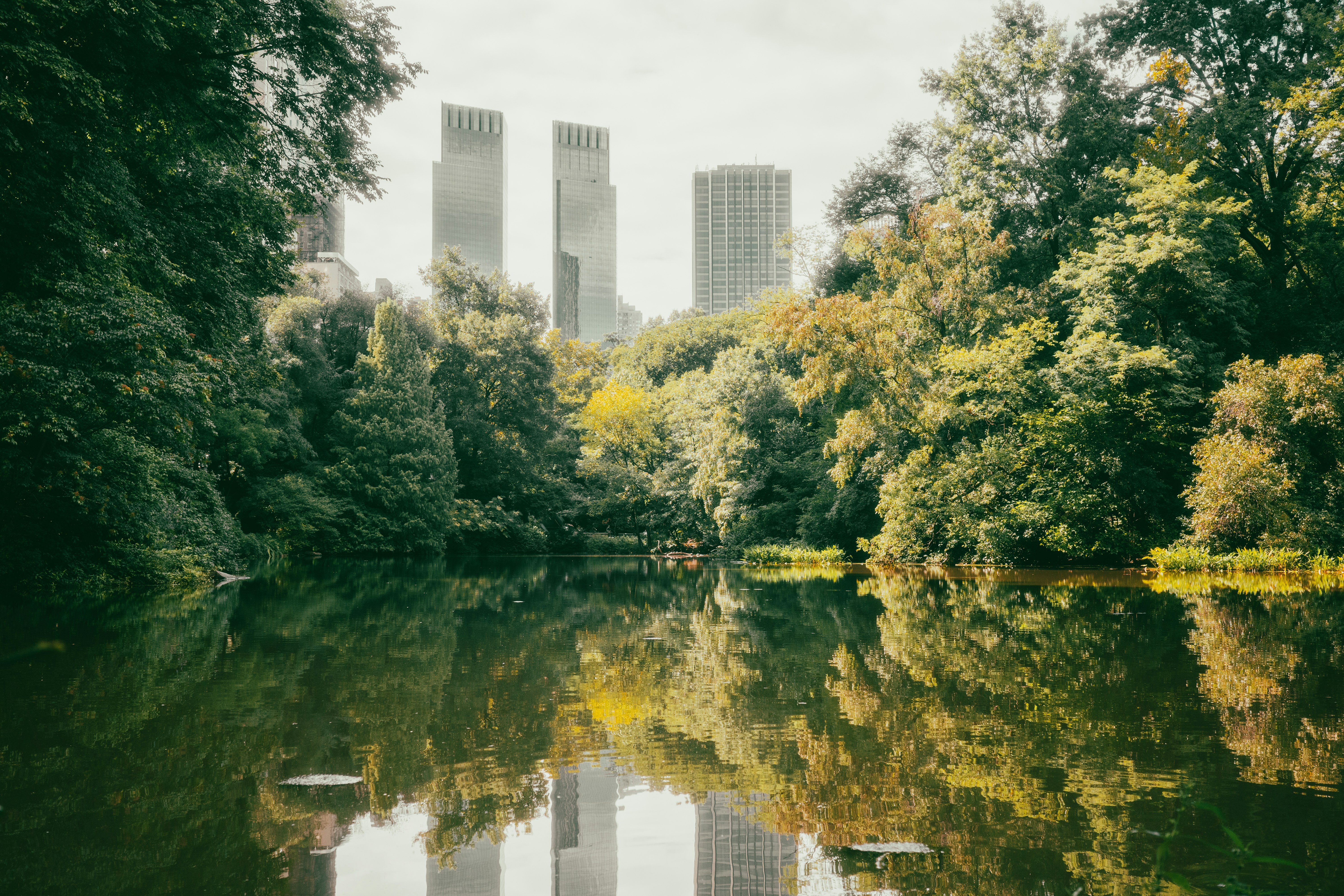 City Reflections: Tranquil Lake Framed by Autumn Canopy and Sky-High Towers