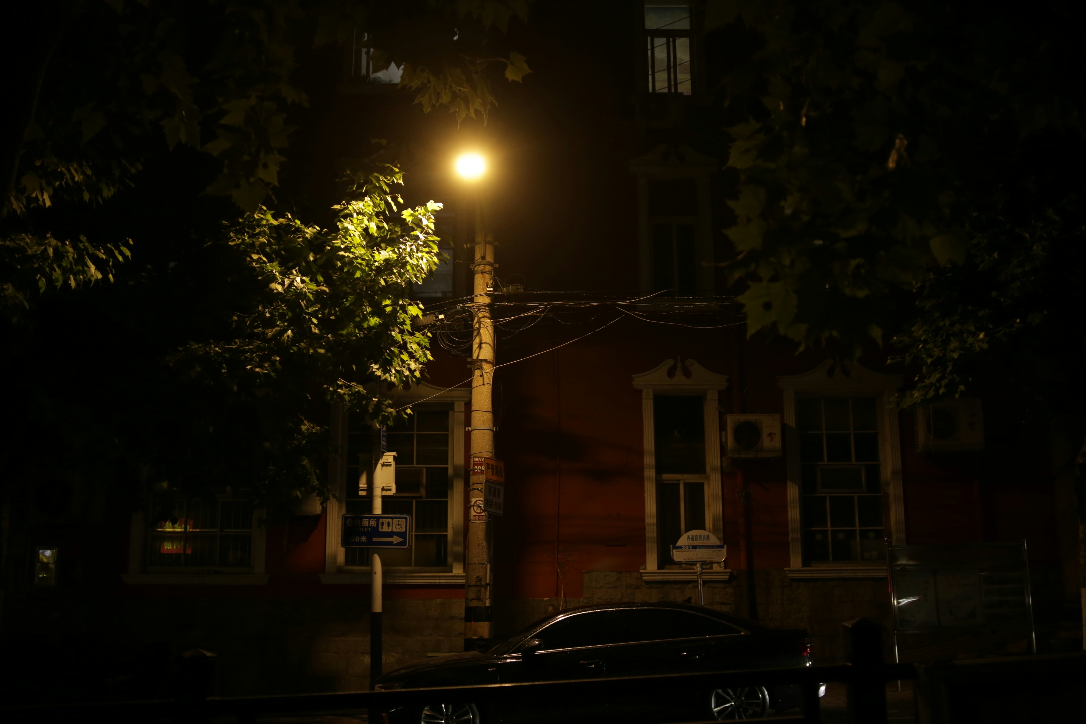 Quiet Streetlamp Vigil: Nighttime Facade Under Warm Glow