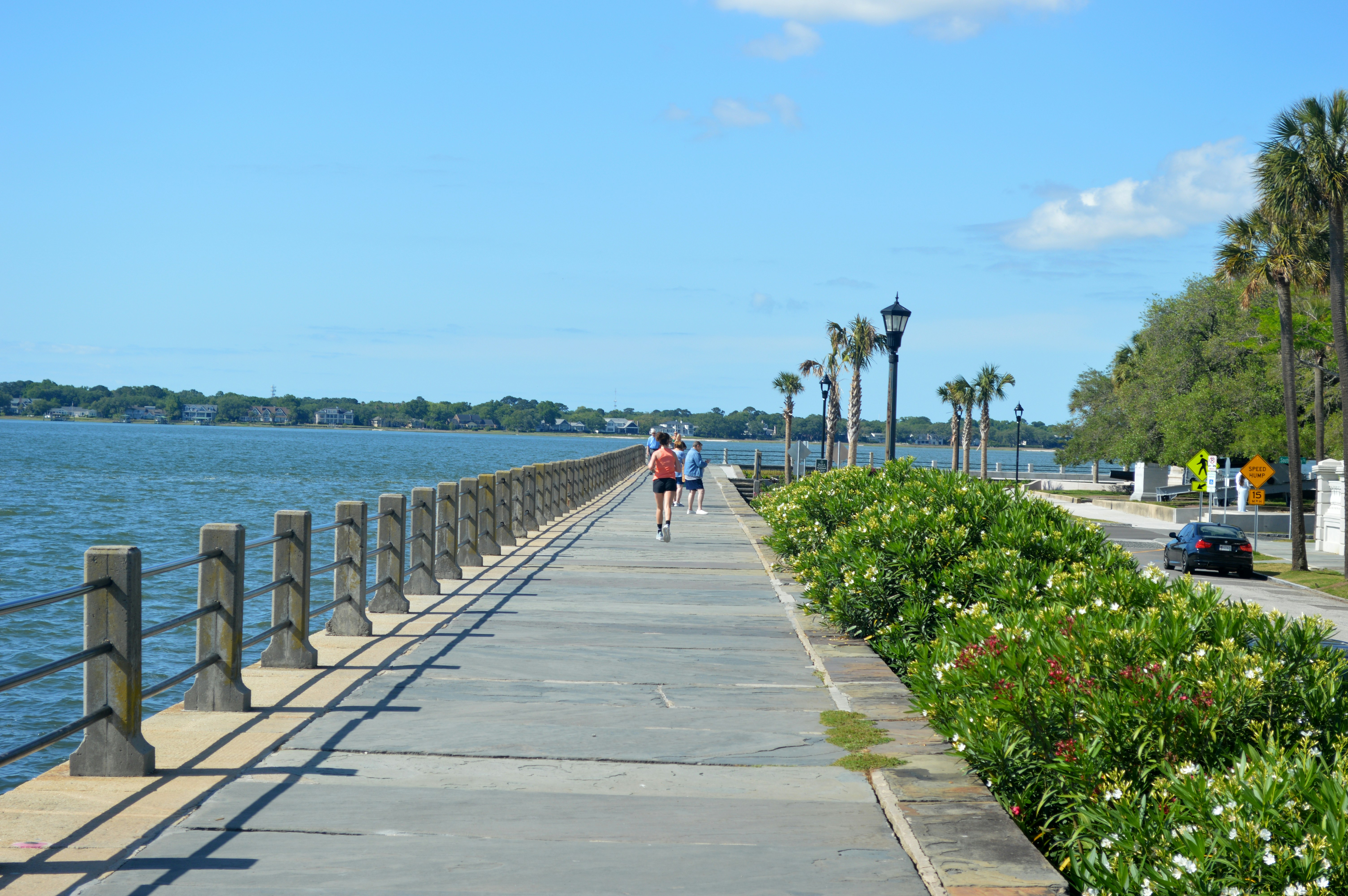 Couple walking along a sunlit concrete promenade beside a calm blue sea, bordered by a row of palm trees and green shrubs.
