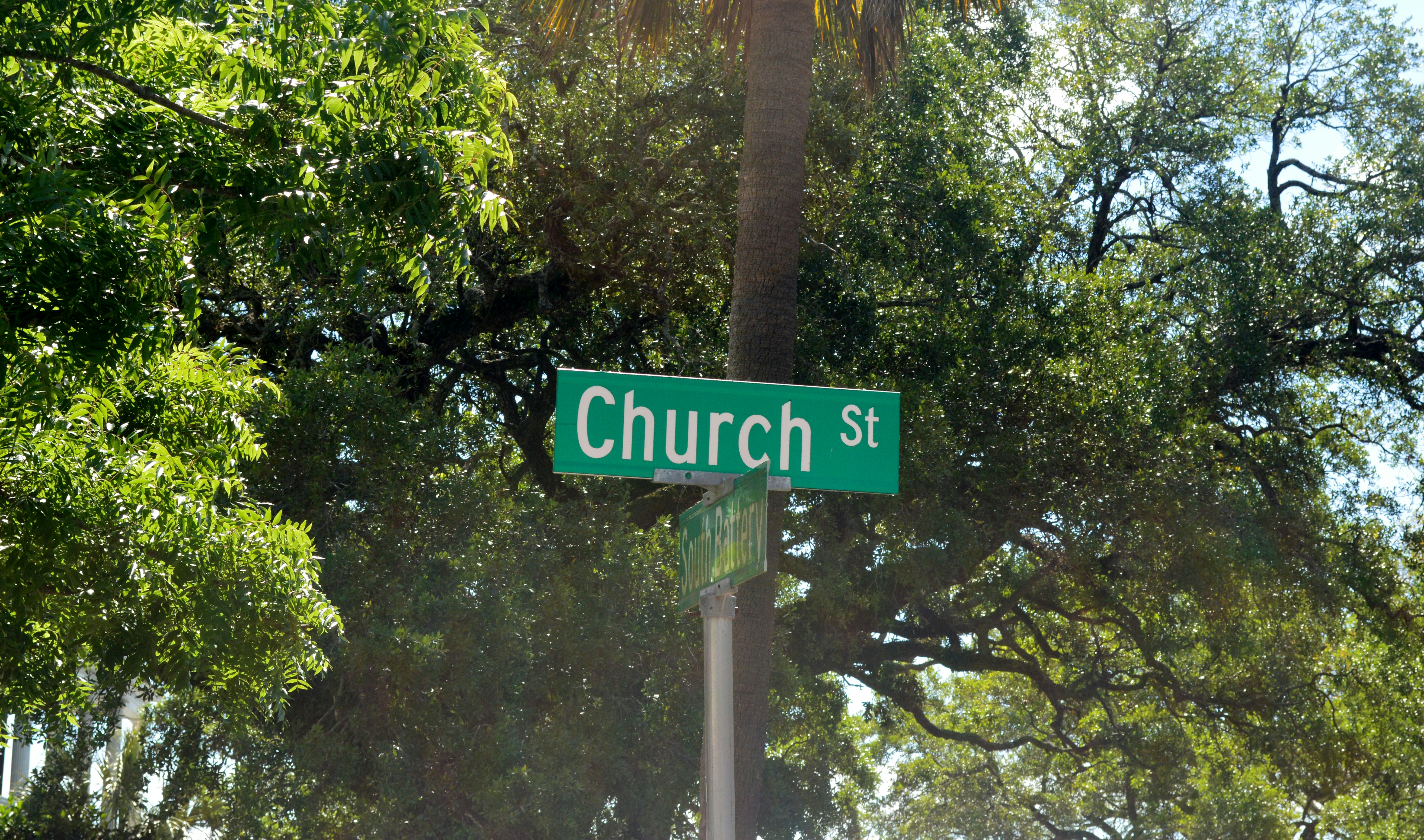 Green Street Sign Amid Sunlit Foliage
