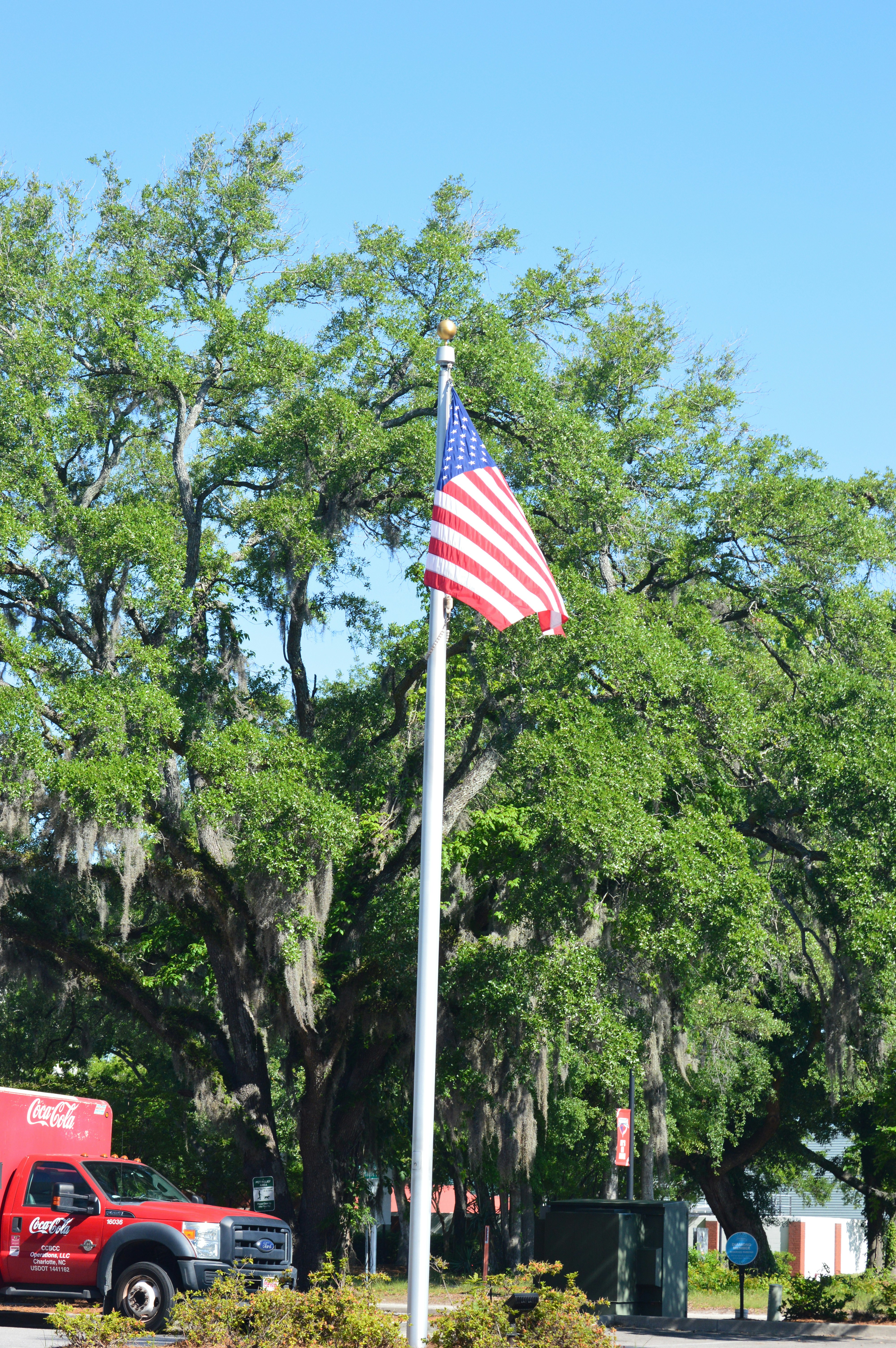 Flag on a Tall Mast Framed by Verdant Oaks