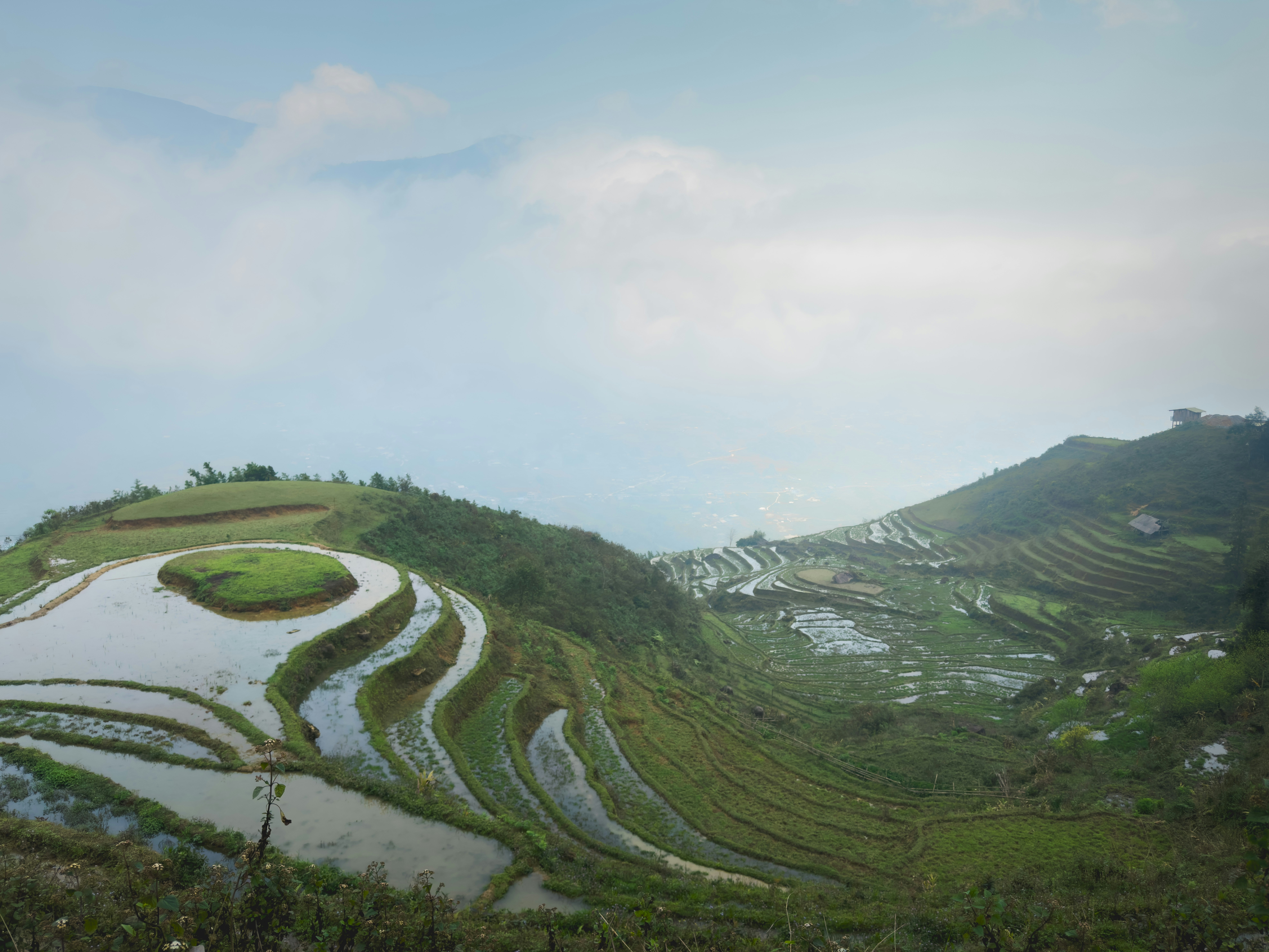 Terraced Mornings: A Quiet Curve of Rice Steps Across the Hillside