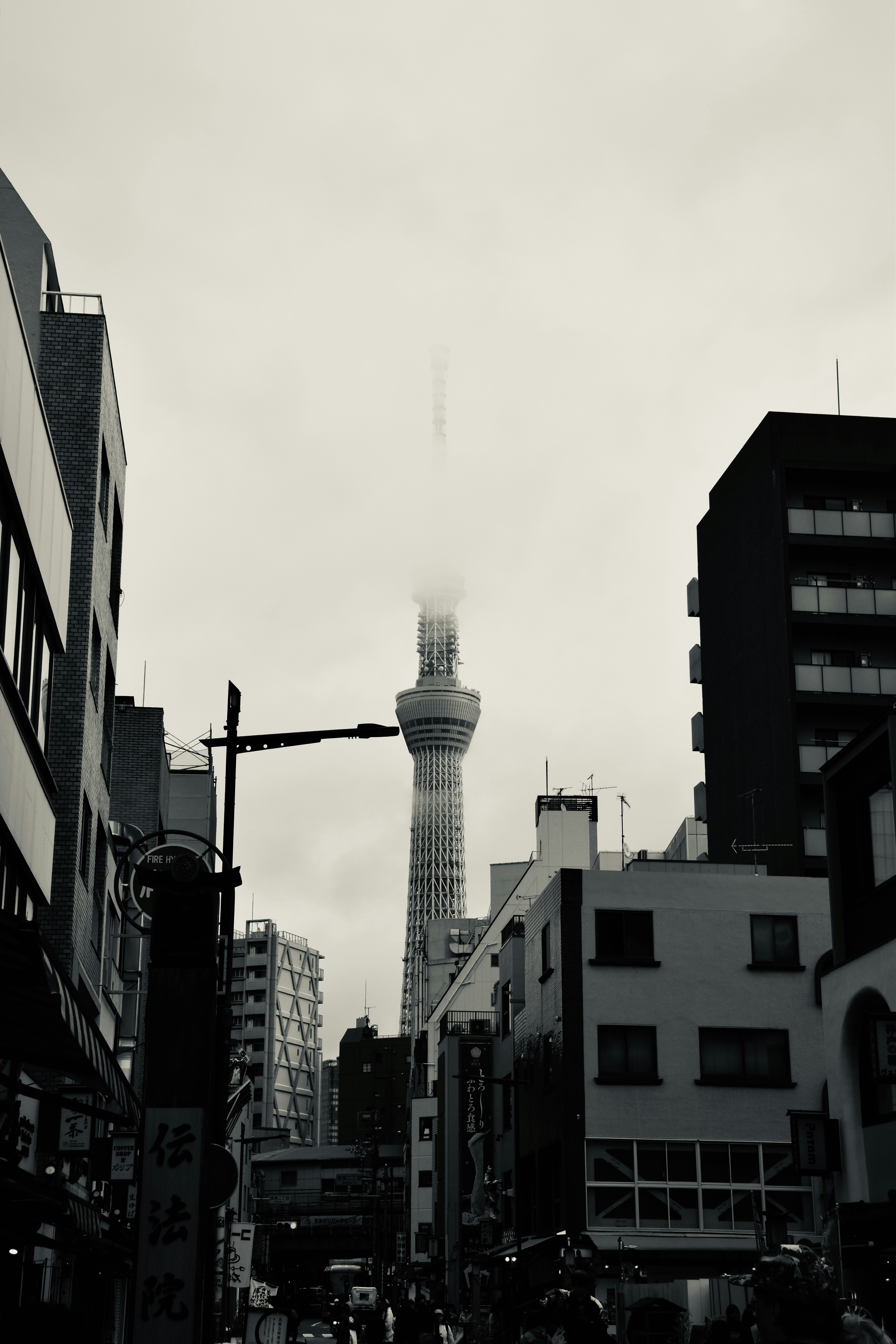Tokyo Skytree Peeking Through a City Canyon