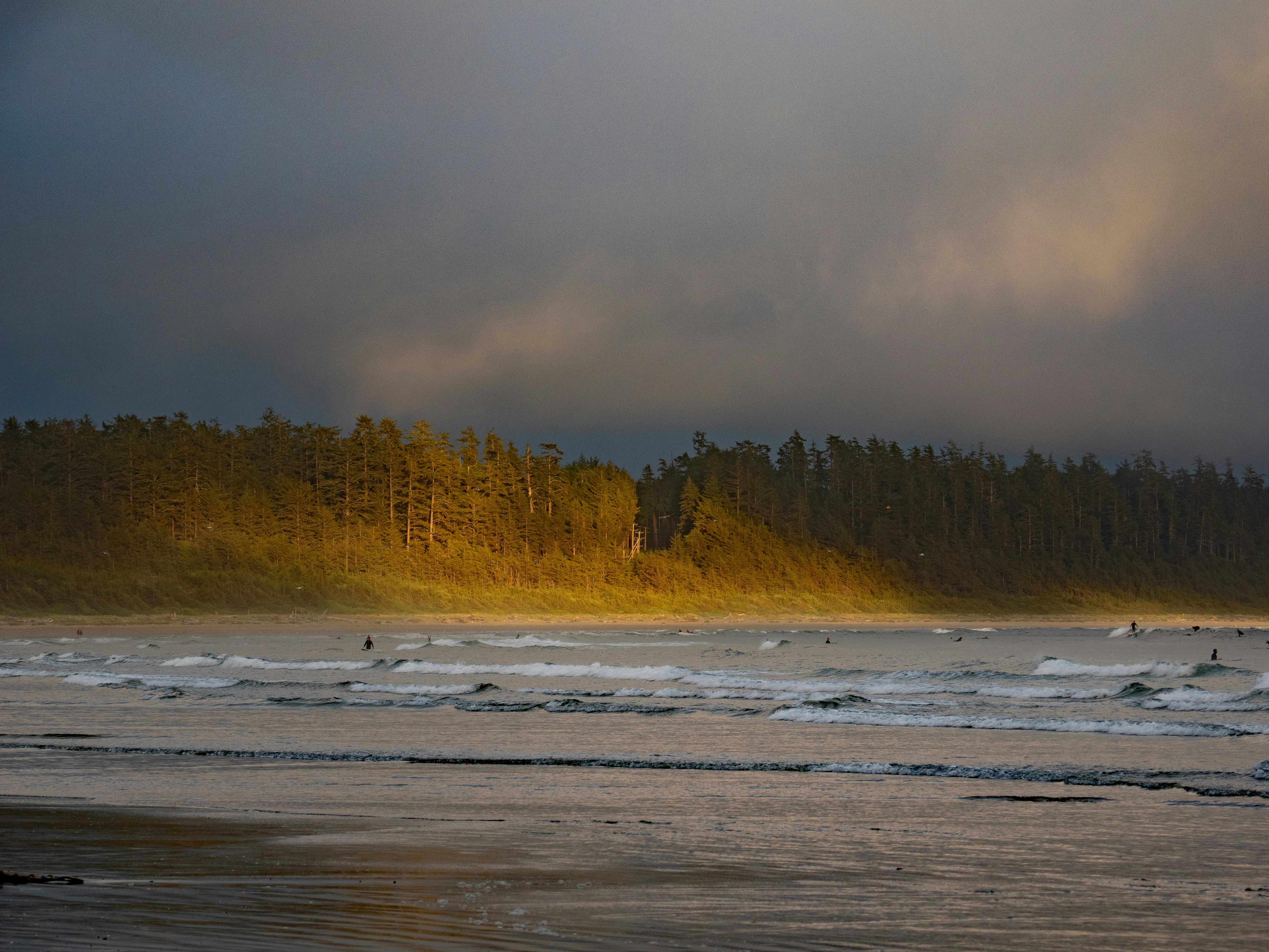 golden shoreline at wind-washed dusk