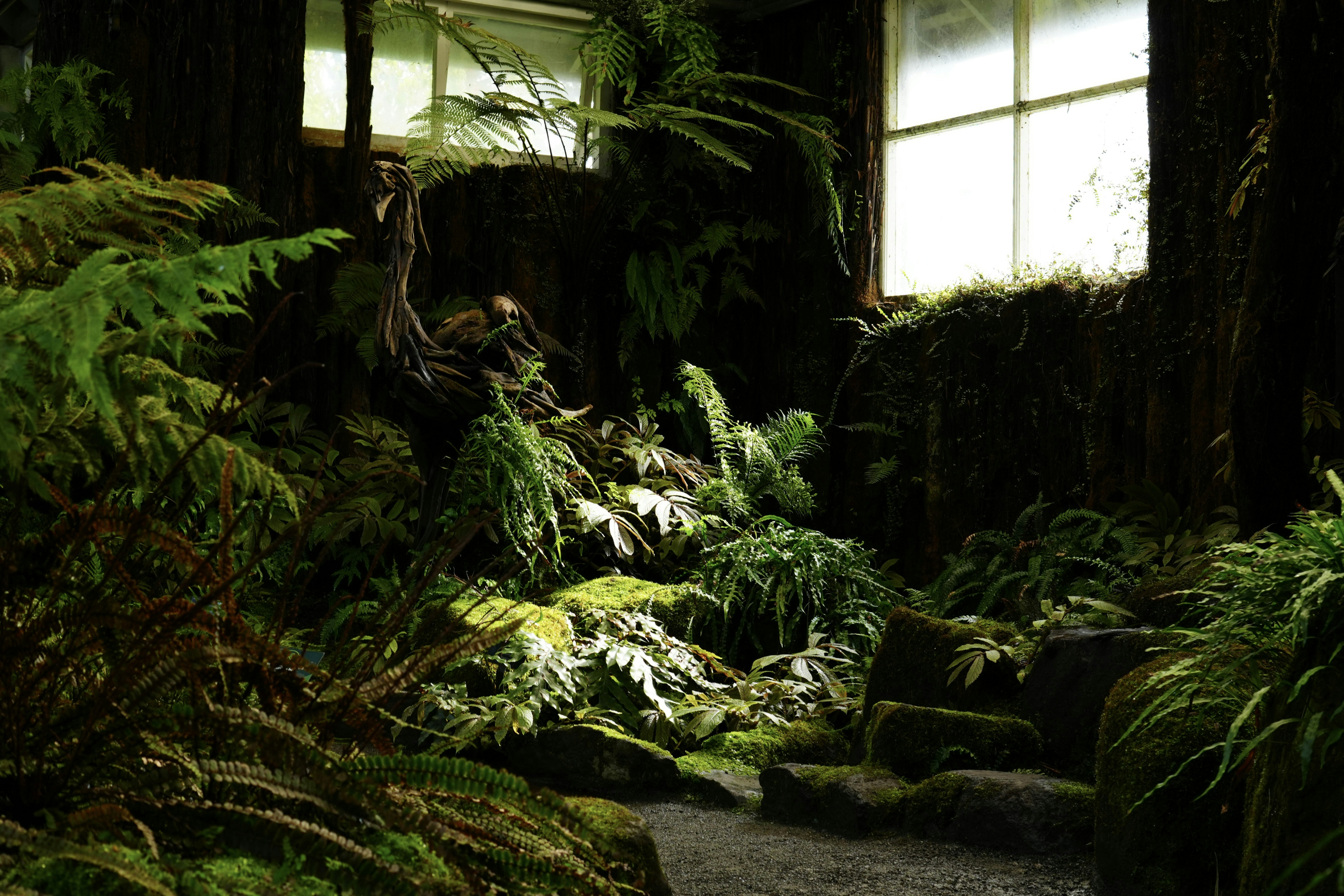 Overgrown Conservatory Gaze